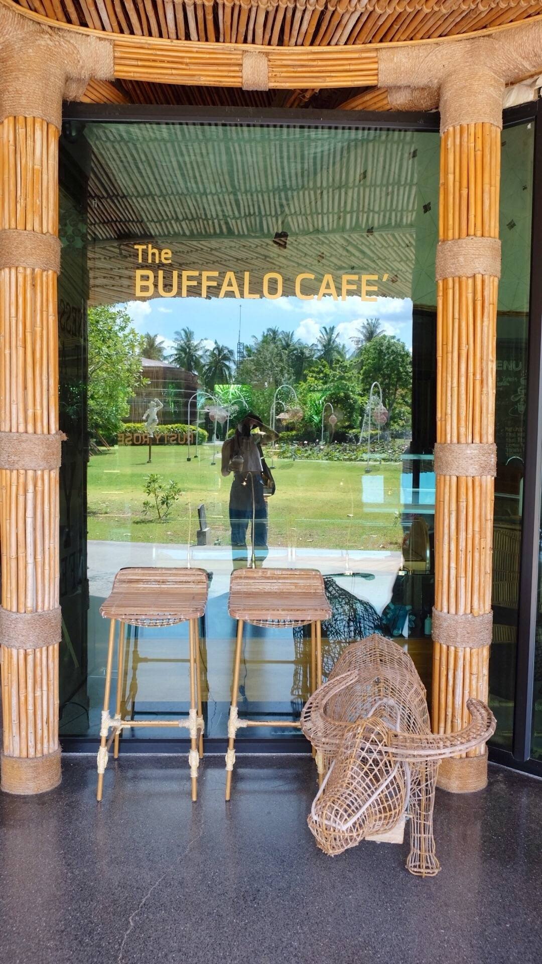 รีวิว The Buffalo Cafe' - คาเฟ่ที่มีน้องควายเผือก ริมคลองแม่กลอง