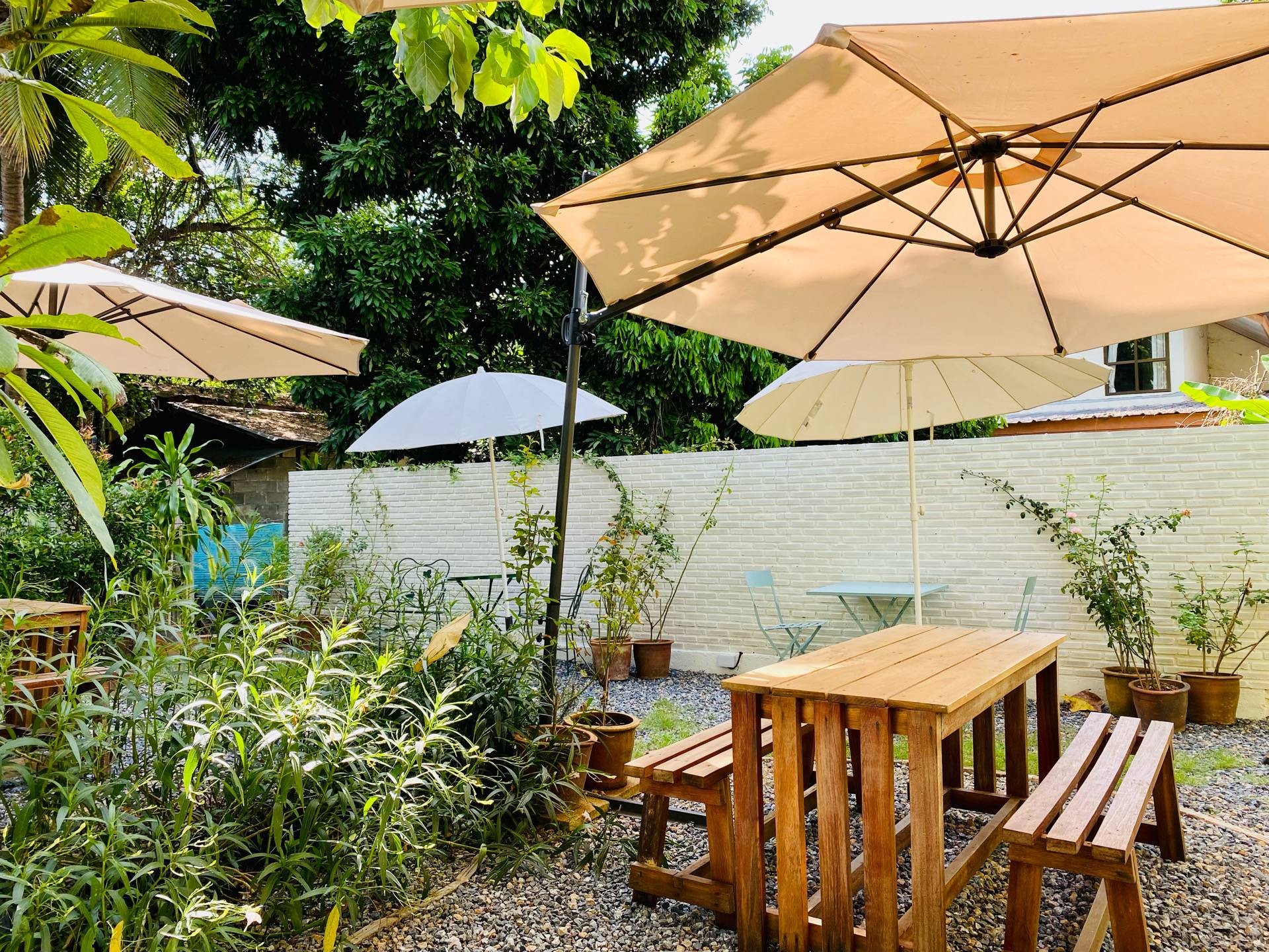 รูป ผลิ : phli cafe x khaosoi - Wongnai