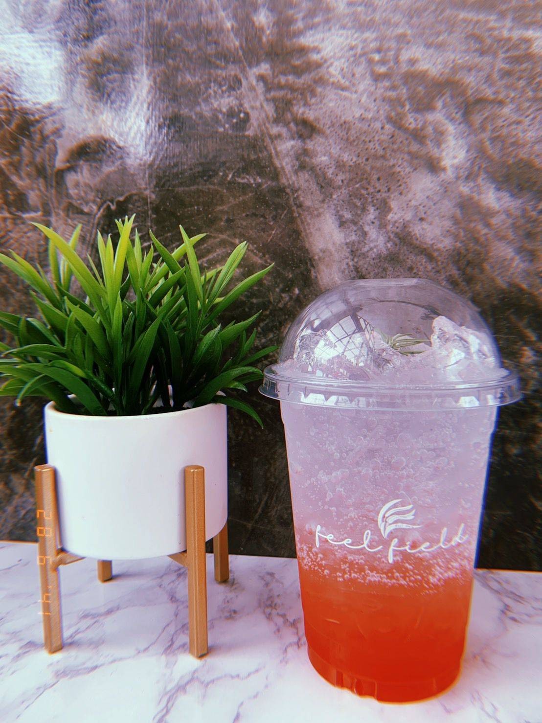 ร้าน ฟีล ฟิลด์ feel field | รีวิวร้านอาหาร