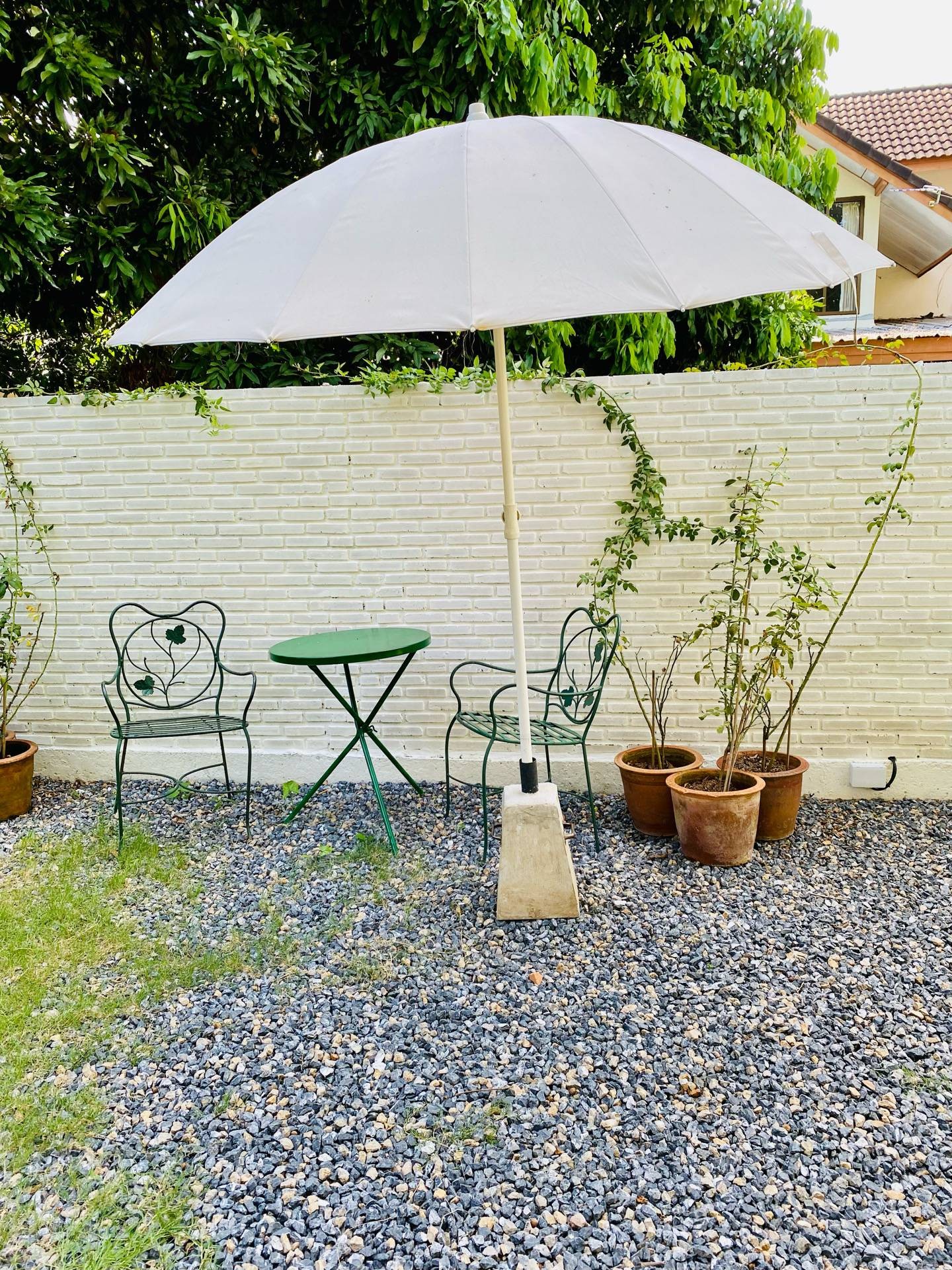 รูป ผลิ : phli cafe x khaosoi - Wongnai