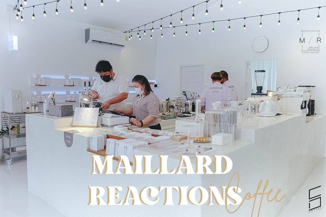 รีวิว Maillard Reactions Coffee - กาแฟเดย์วันนี้เราแวะมาที่ M/R ...