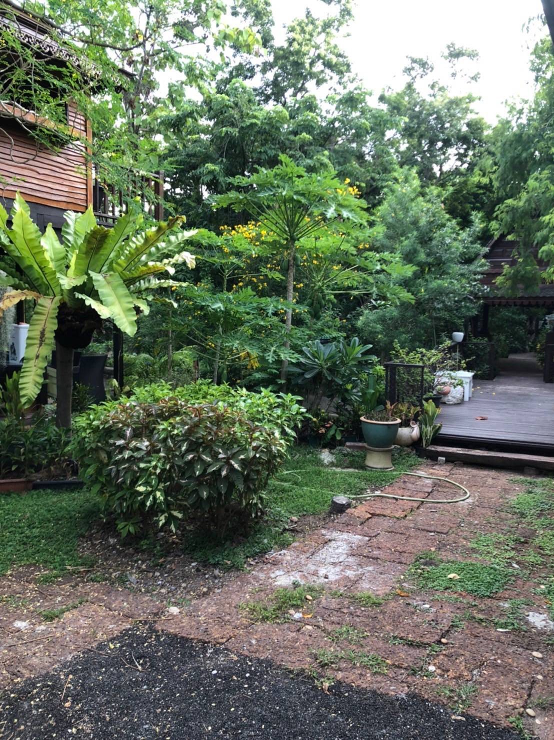 รีวิว The Craft Cafe’ ร้านกาแฟ ณ ศรีราชา (รับที่ประตูเล็ก ใกล้ทางโค้ง ...