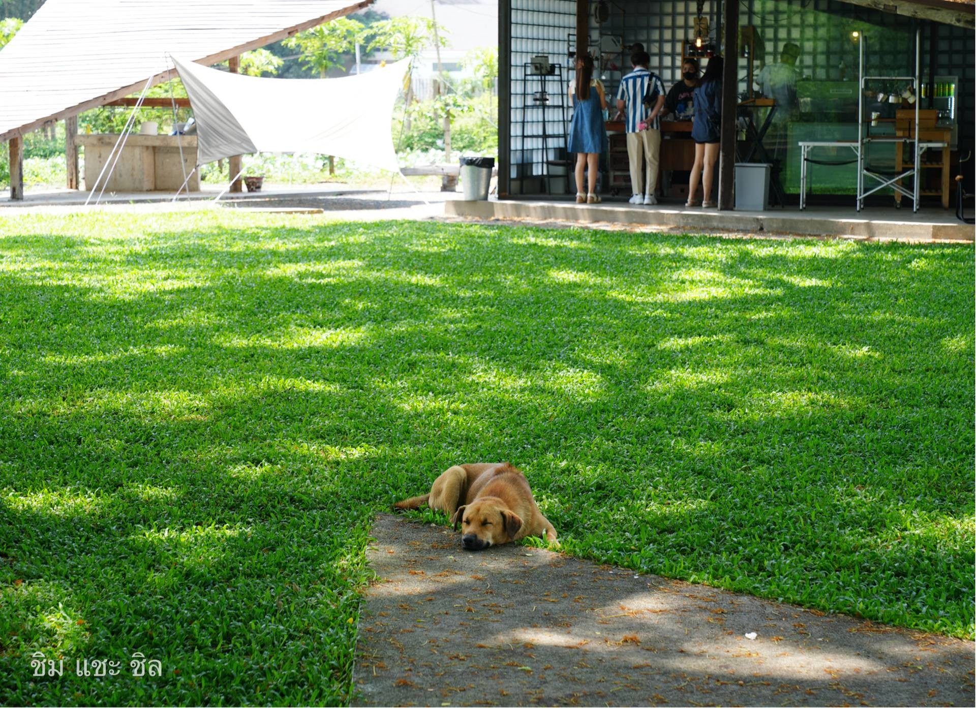 รูป ARTISAN x 123 Glamp