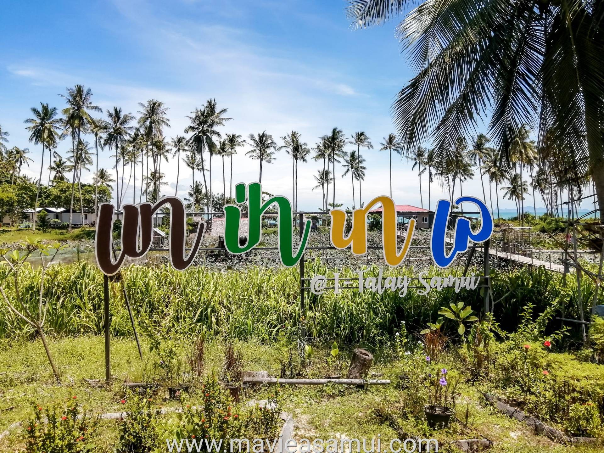 รีวิว I-talay Beach Bar - Koh Samui 🏝️ Paradise site