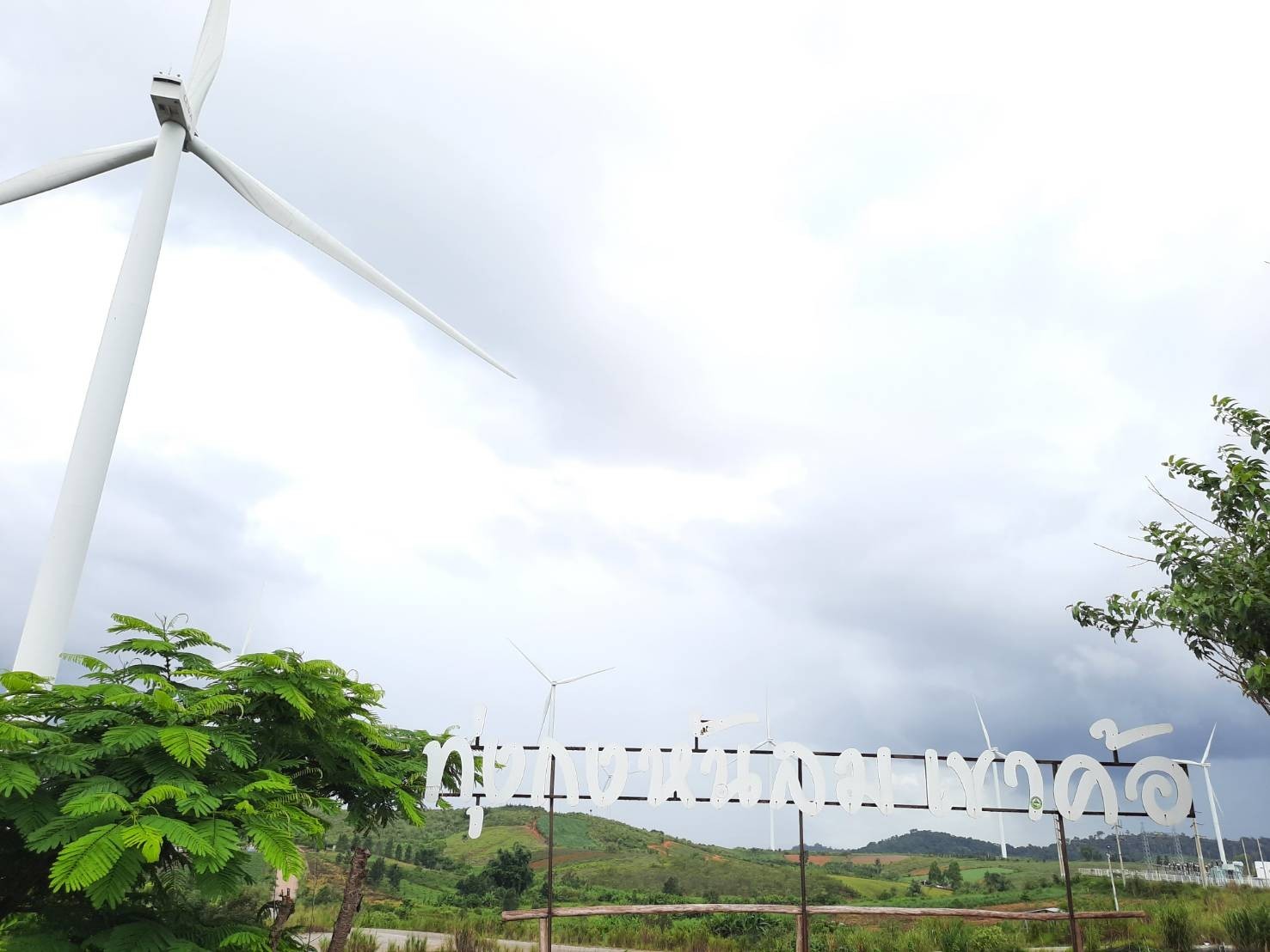 รีวิว GB Farm - ทุ่งกังหันลมเขาค้อ - Wongnai