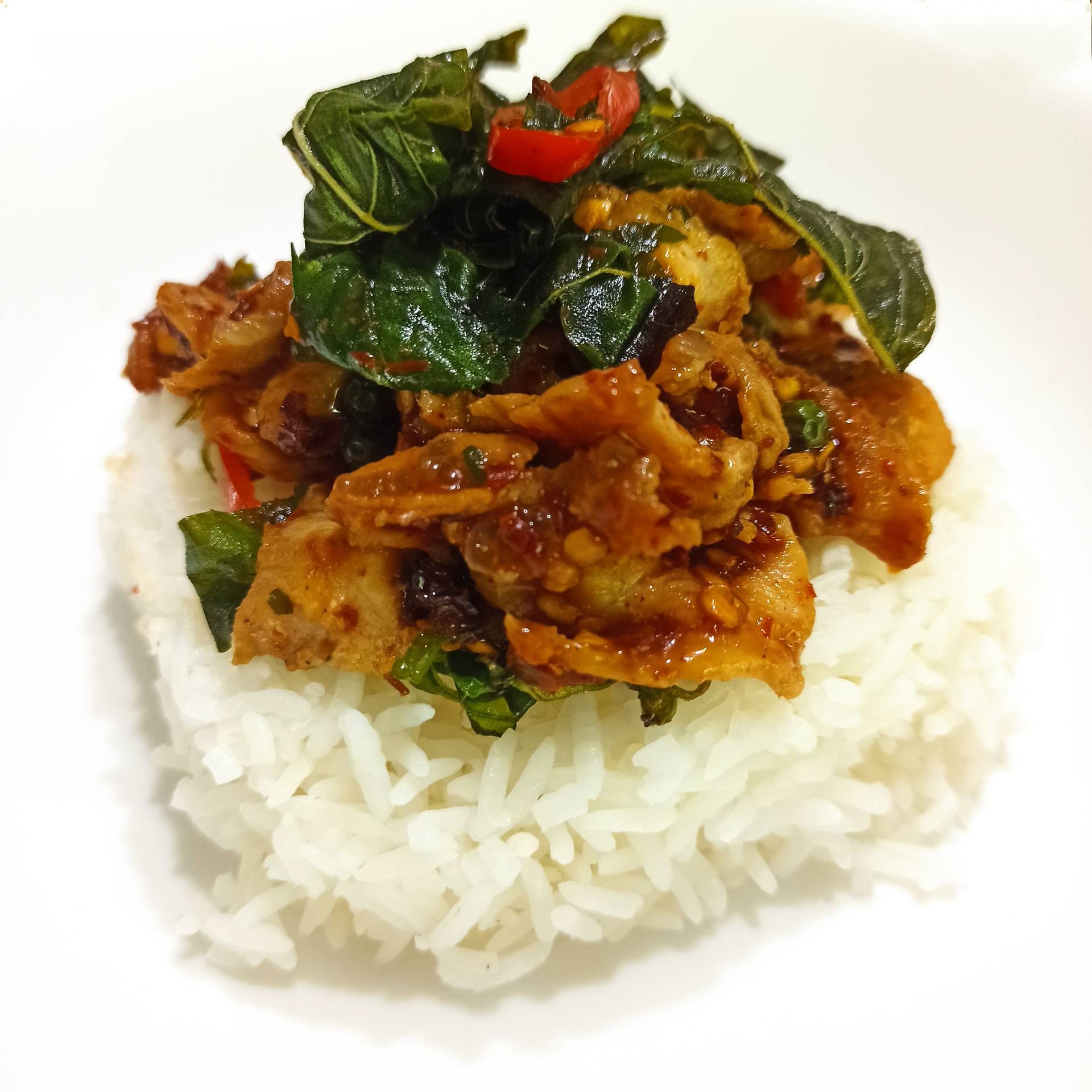 รีวิว กะเพราฟาดหาง Croc Ka Pao - อาหารอร่อย รสจัดจ้าน