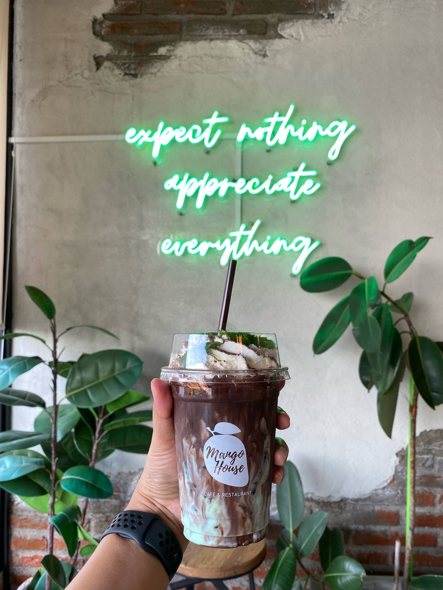 รีวิว Mango House Cafe & Restaurant - ร้านริมแม่น้ำปิง บรรยากาศดี มีดนตรีสด