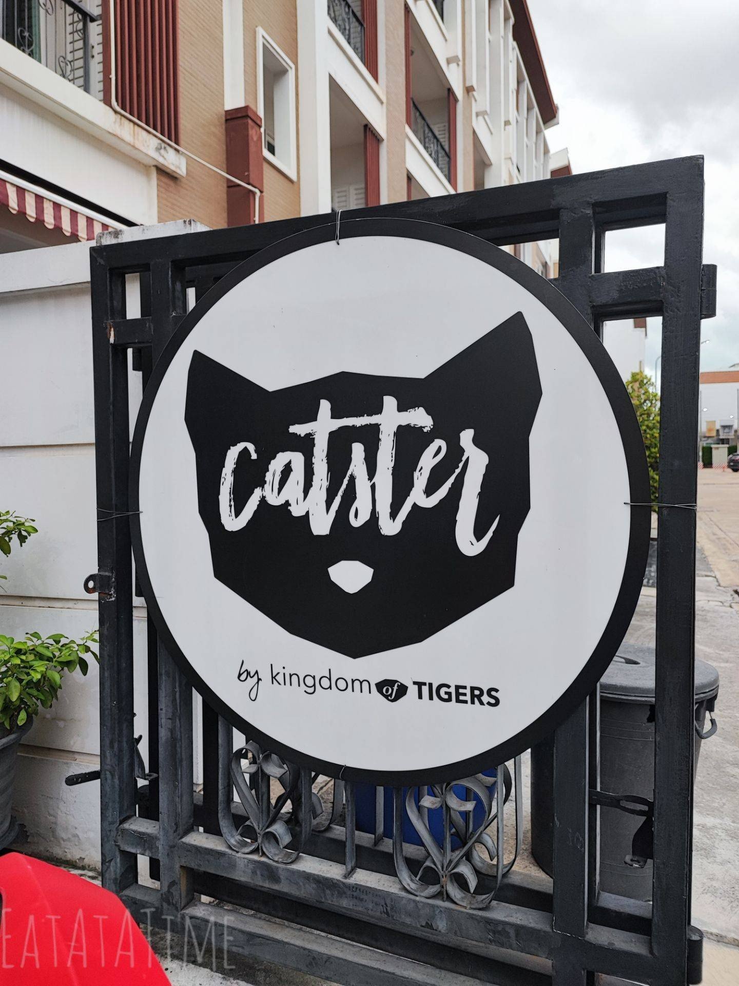 รีวิว Catster - คาเฟ่แมวจร แห่งสมุทรปราการ