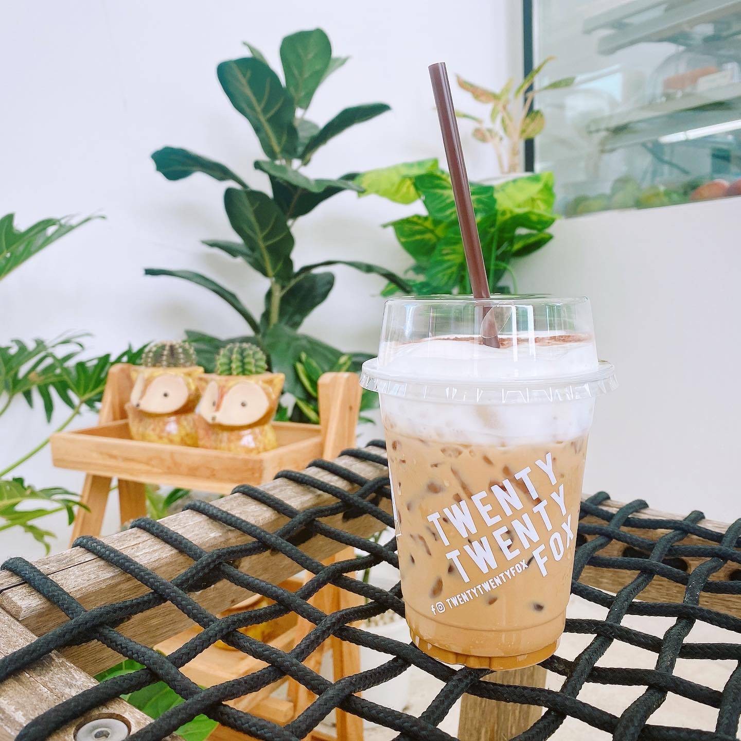 รูป Twenty Twenty Fox