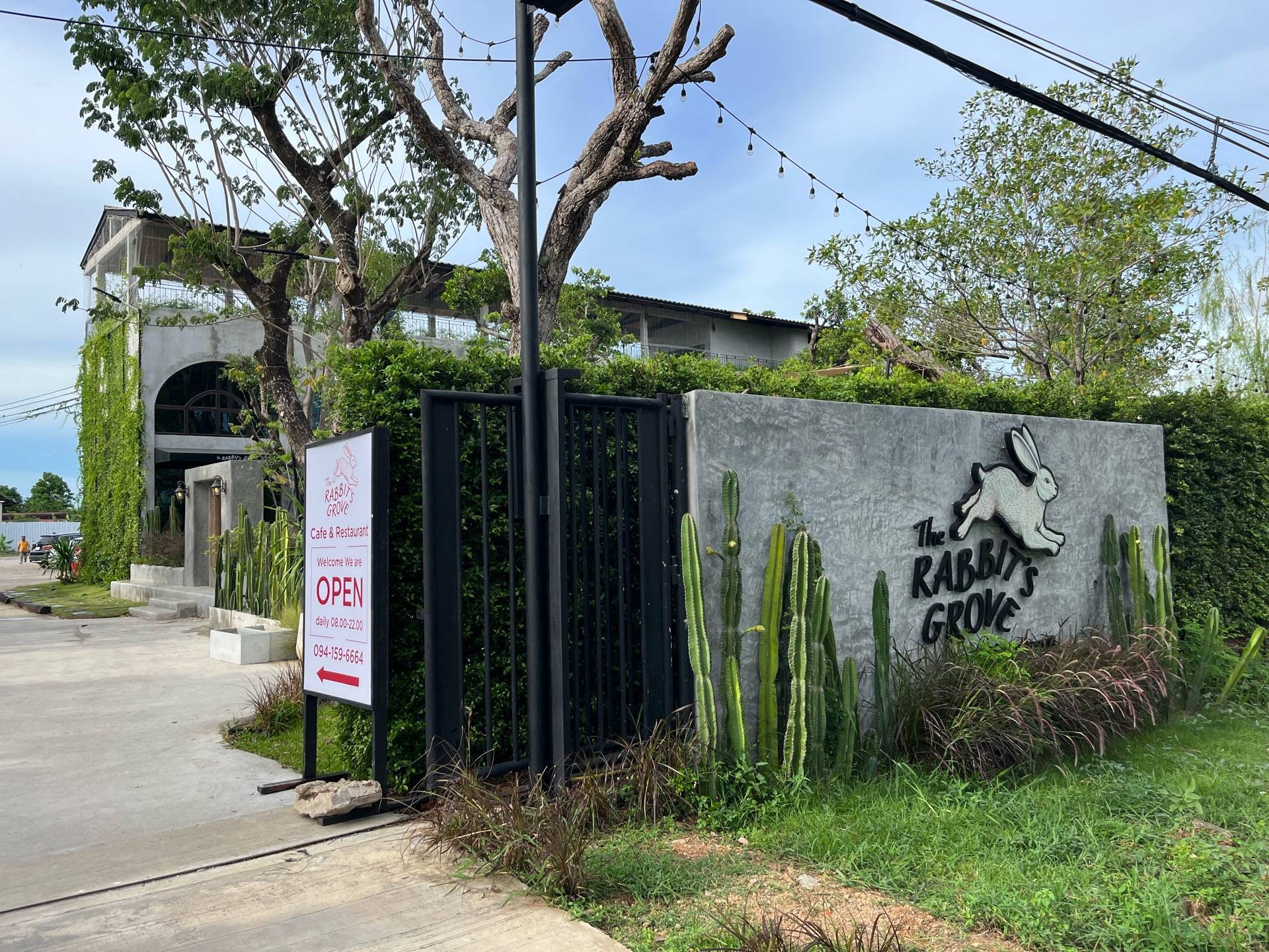 รูป The Rabbit’s Grove