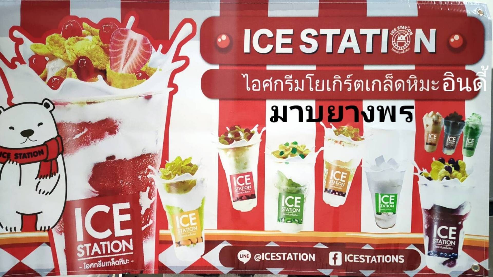 ICESTATION ไอศกรีมโยเกิร์ตเกล็ดหิมะ อินดิ้ มาบยางพร - สั่งอาหารเดลิเวอรี | Wongnai x LINE MAN