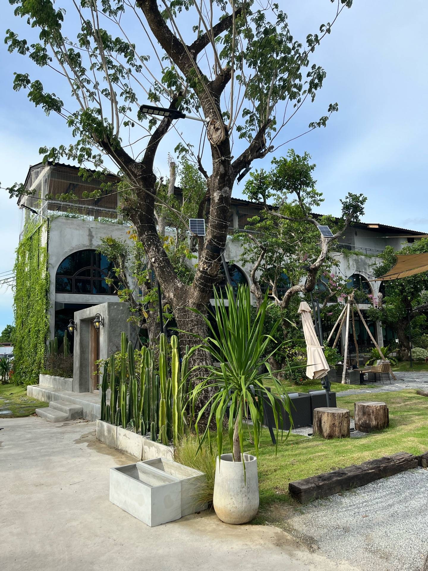 รูป The Rabbit’s Grove