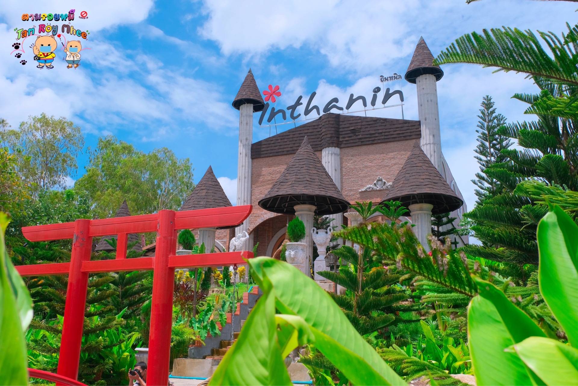 รีวิว Inthanin Coffee หนองยายบู่ - ศรีราชา - เป็นอินทนิลสาขาที่สวยงาม ...