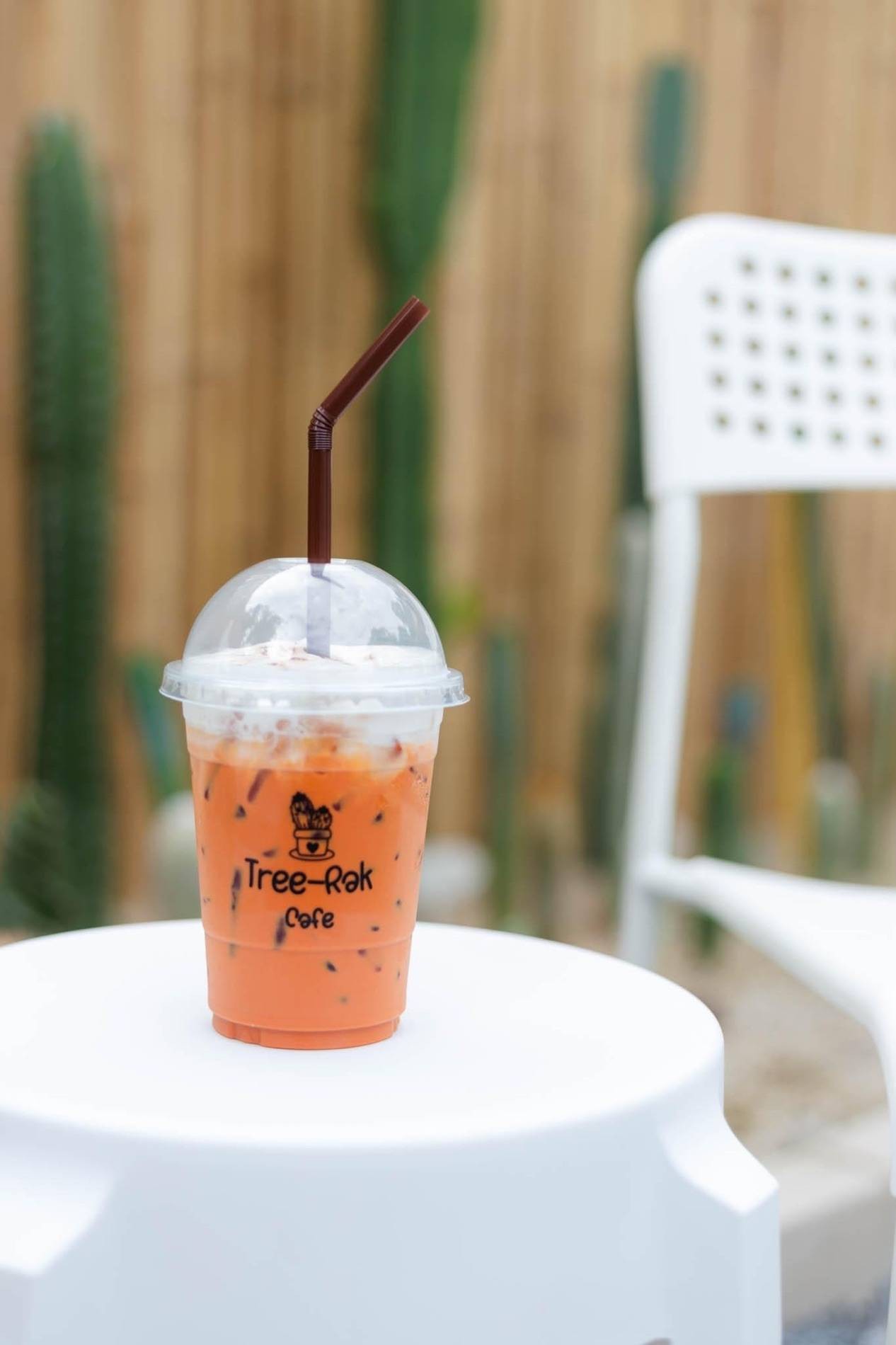 รีวิว Tree-Rak Cafe ปากช่อง - บรรยากาศดี เครื่องดื่มอร่อย