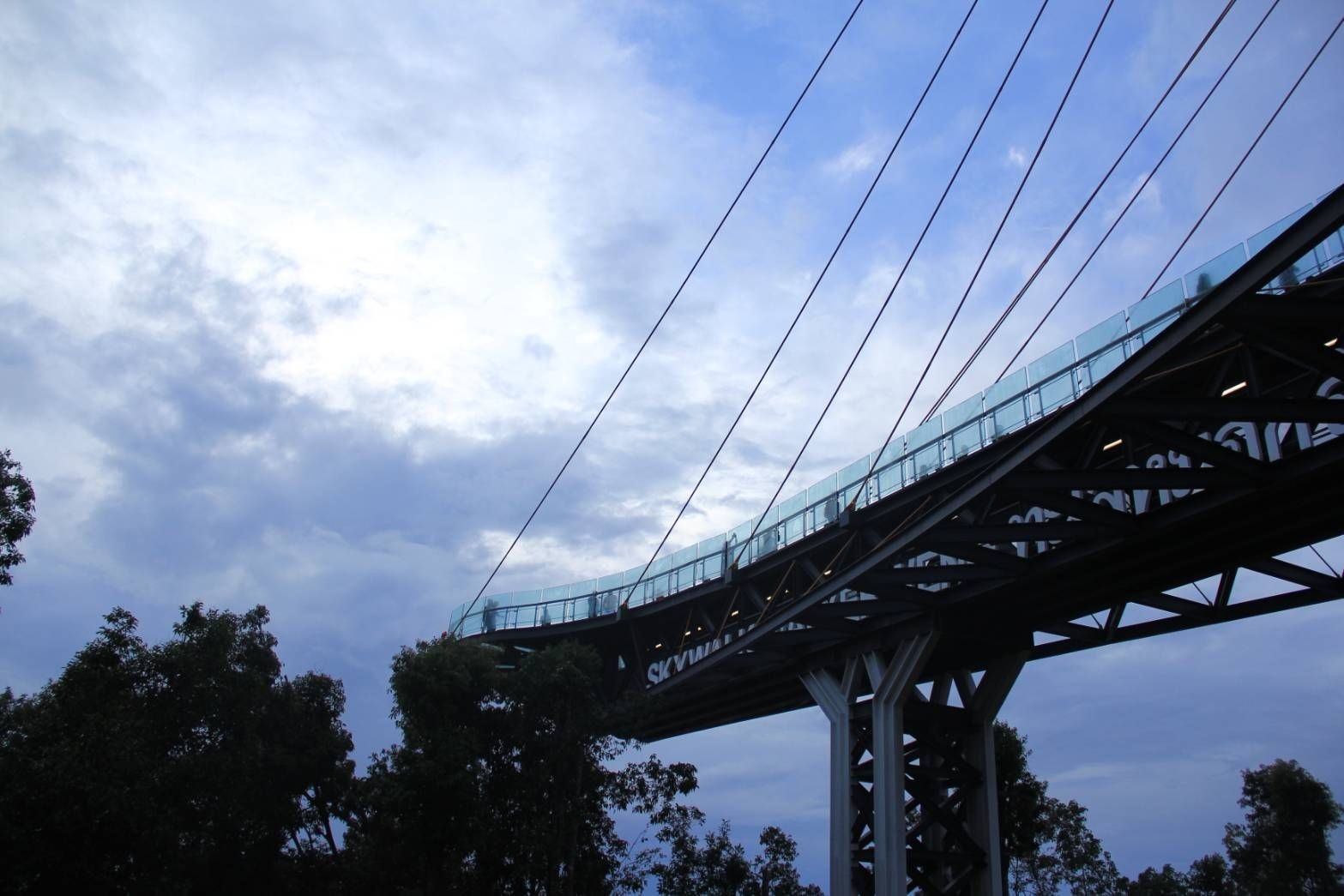 รีวิว Sky Walk อัยเยอร์เวง Wongnai