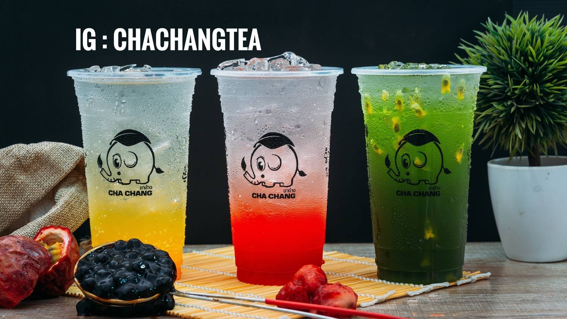 ชาช้างเหนือคลอง Delivery Center Cha Chang Nua Khlong Delivery Center ...