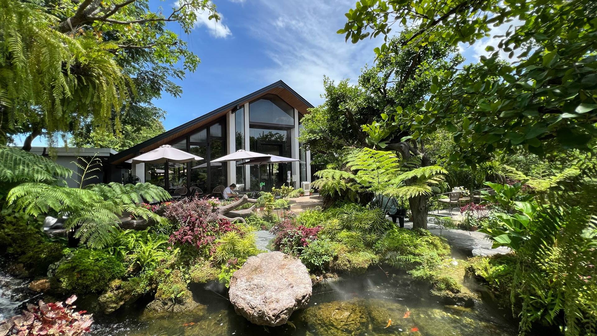 รูป เดอะทอลทรีส์คาเฟ่แอนด์บิสโทร มีนบุรี - Wongnai