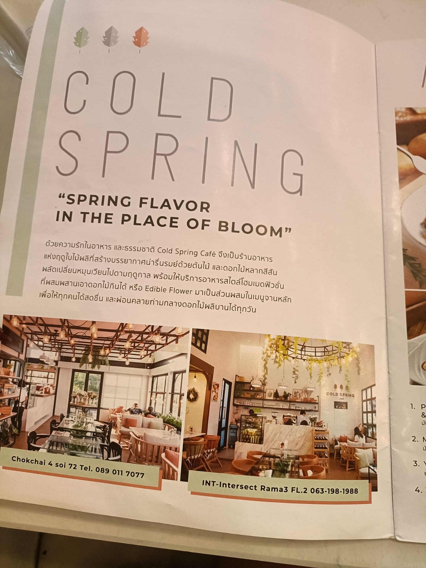 รูป Cold Spring Café อินท์ อินเตอร์เซค พระราม 3