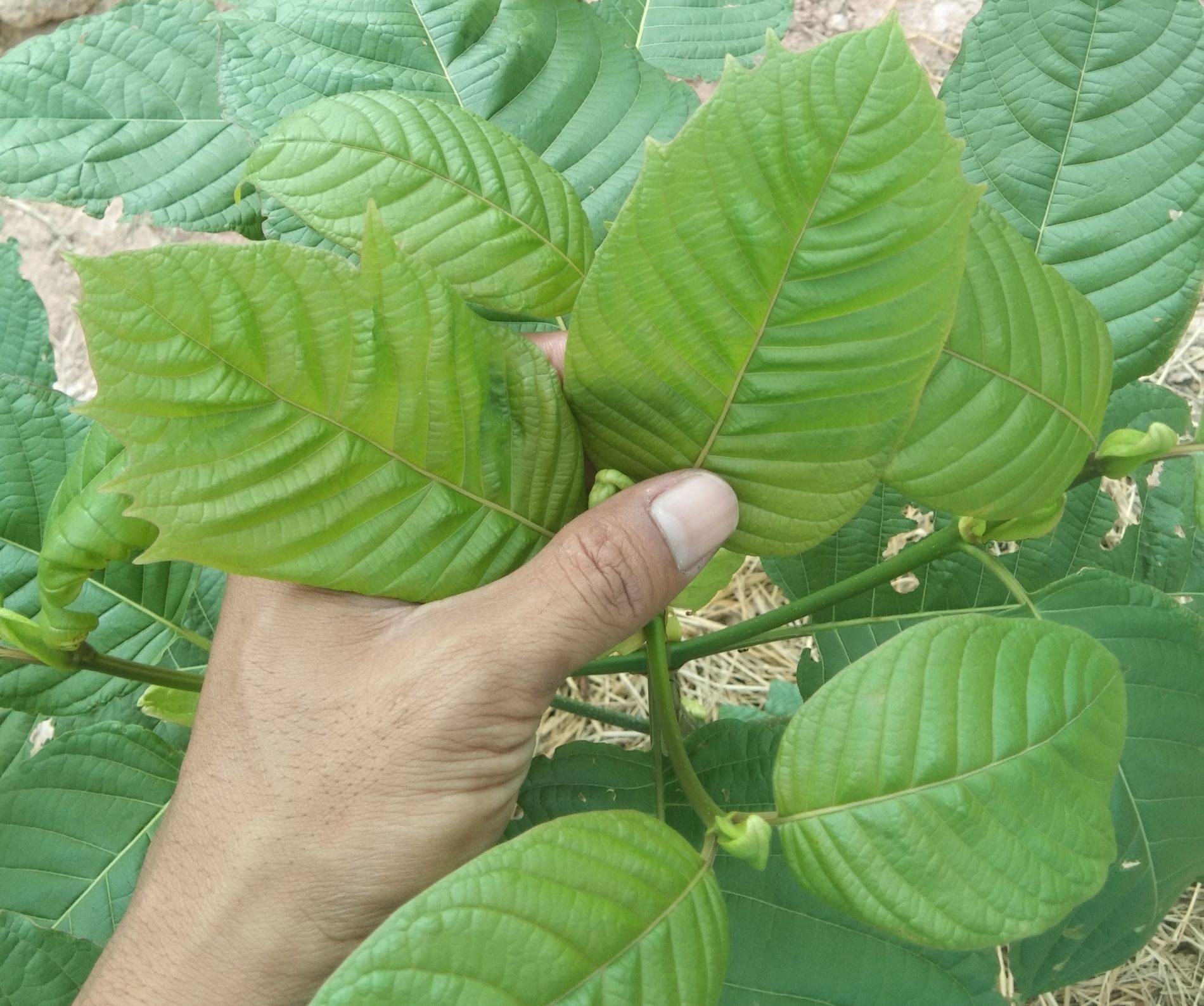 รีวิว ท่อมท้ายบะ พัฒนาการ30 - น้ำอร่อยราคาถูก