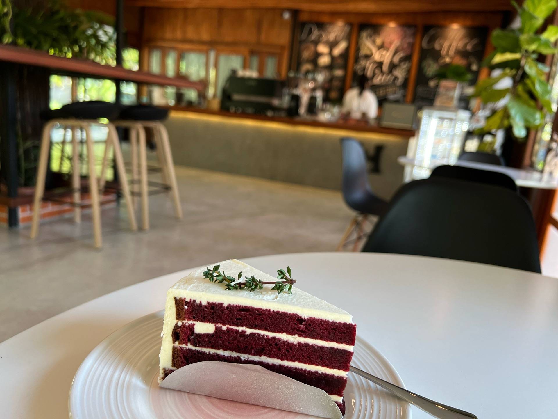 รีวิว Safe Haus Cafe&Bistro - คาเฟ่ บรรยากาศธรรมชาติ แนวบ้านสวน