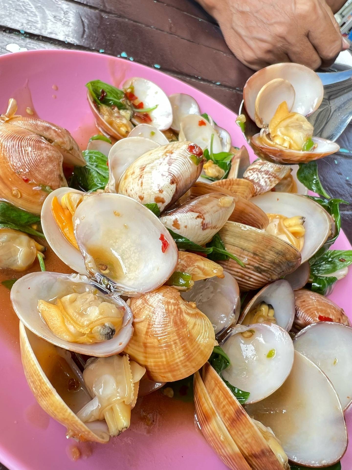 หอยตลับผัดโหระพา • จานนี้มีใส่พริกนิดหน่อย อร่อยกลมกล่อมที่สุด ร้าน เจ๊ ...