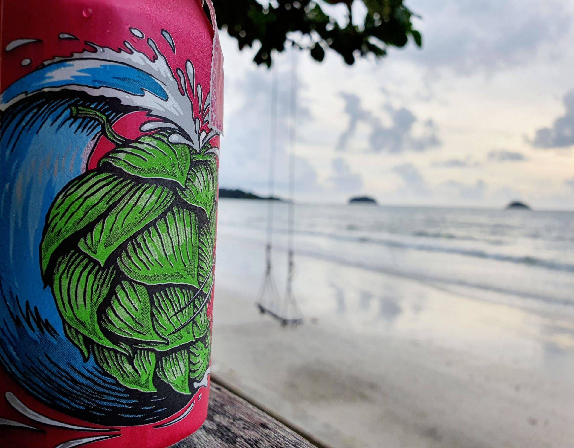 ร้าน Bitter Bay Craft beer & Beach | รีวิวร้านอาหาร