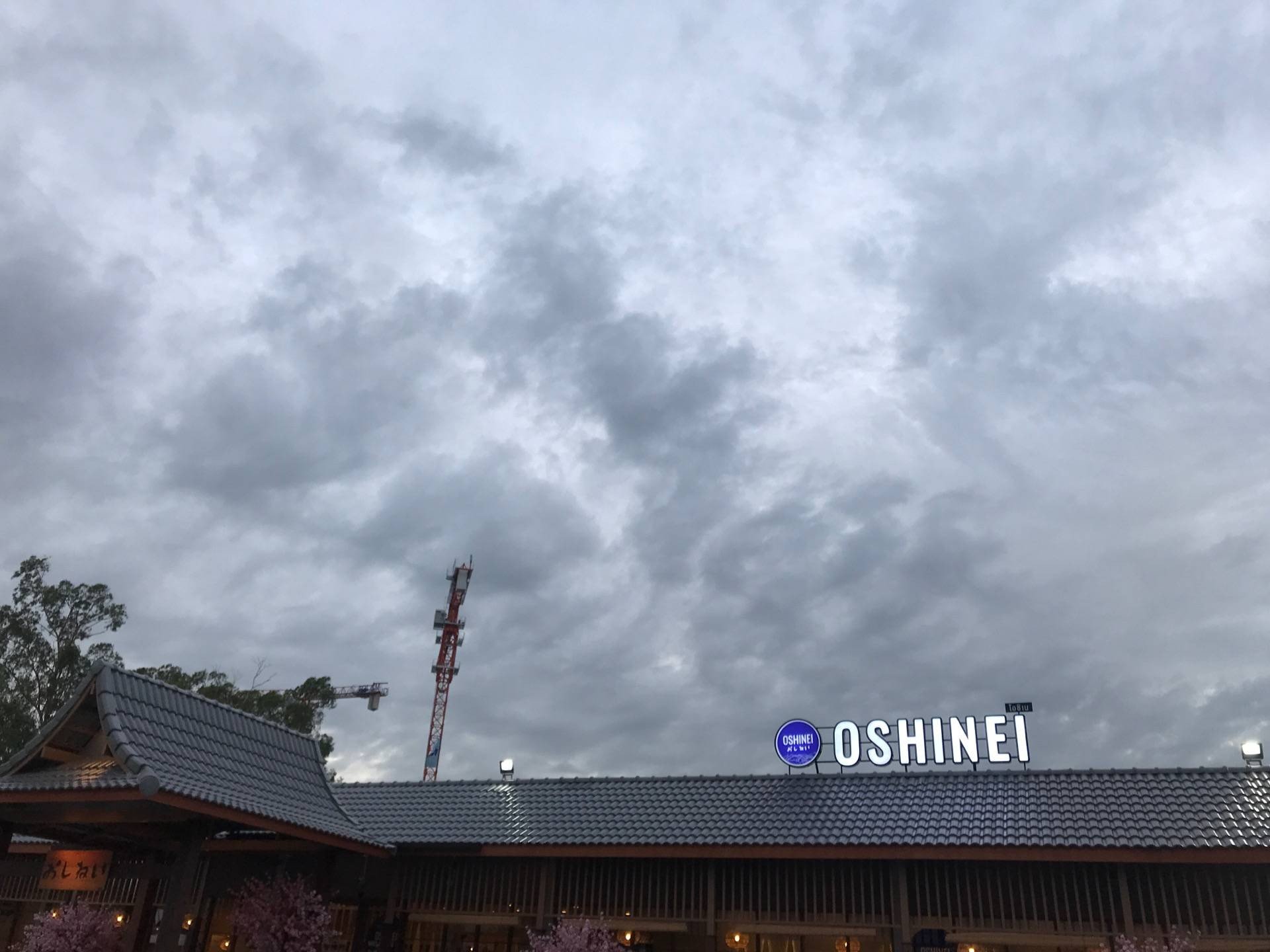 รีวิว โอชิเน Oshinei อยุธยา - OSHINEI Japanese Restaurant - Wongnai
