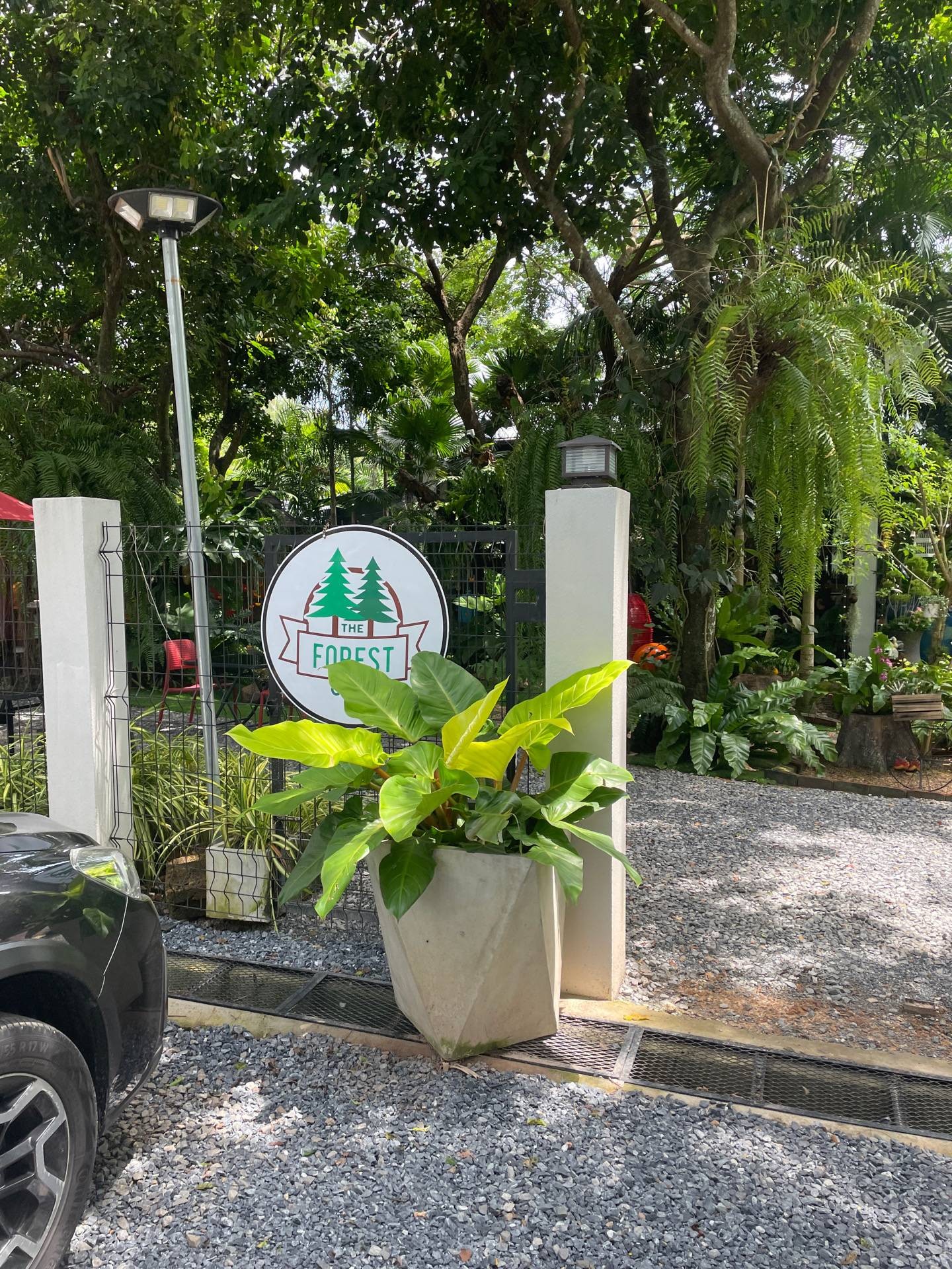 รีวิว The forest cafe1 - ร้านใหญ่ แต่งสวย ราคาก็พอตัวนะ - Wongnai