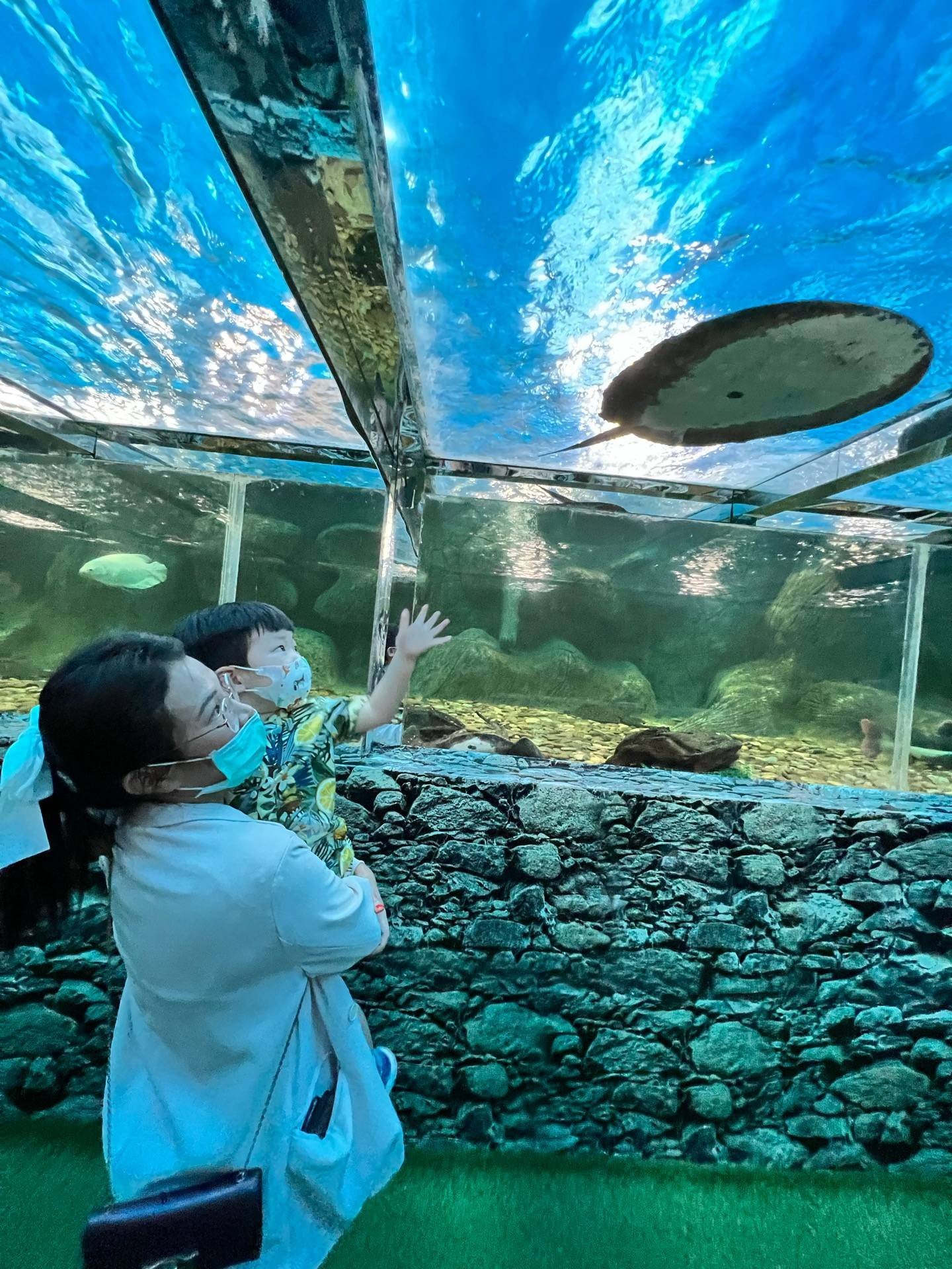 รูป Monster Aquarium - Wongnai