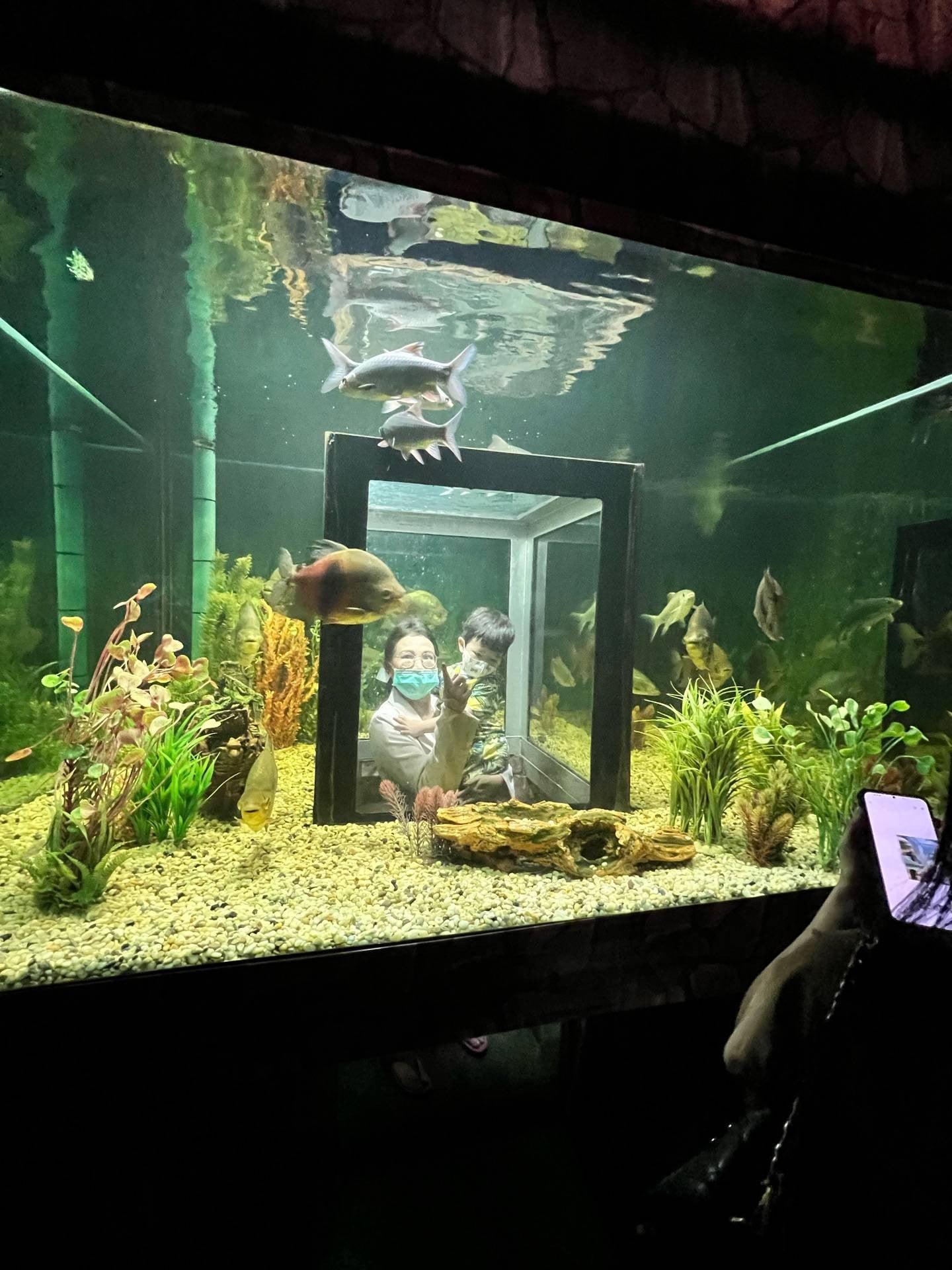 รูป Monster Aquarium