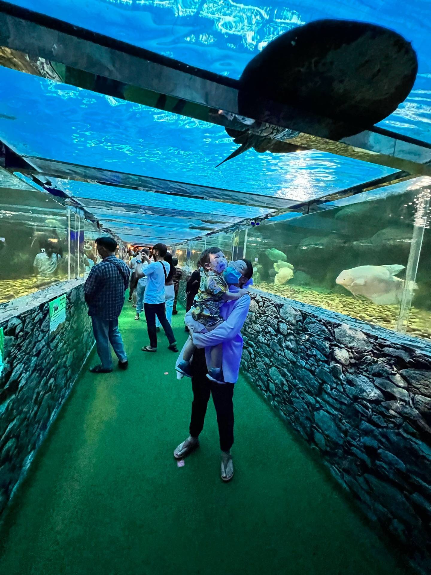 รูป Monster Aquarium