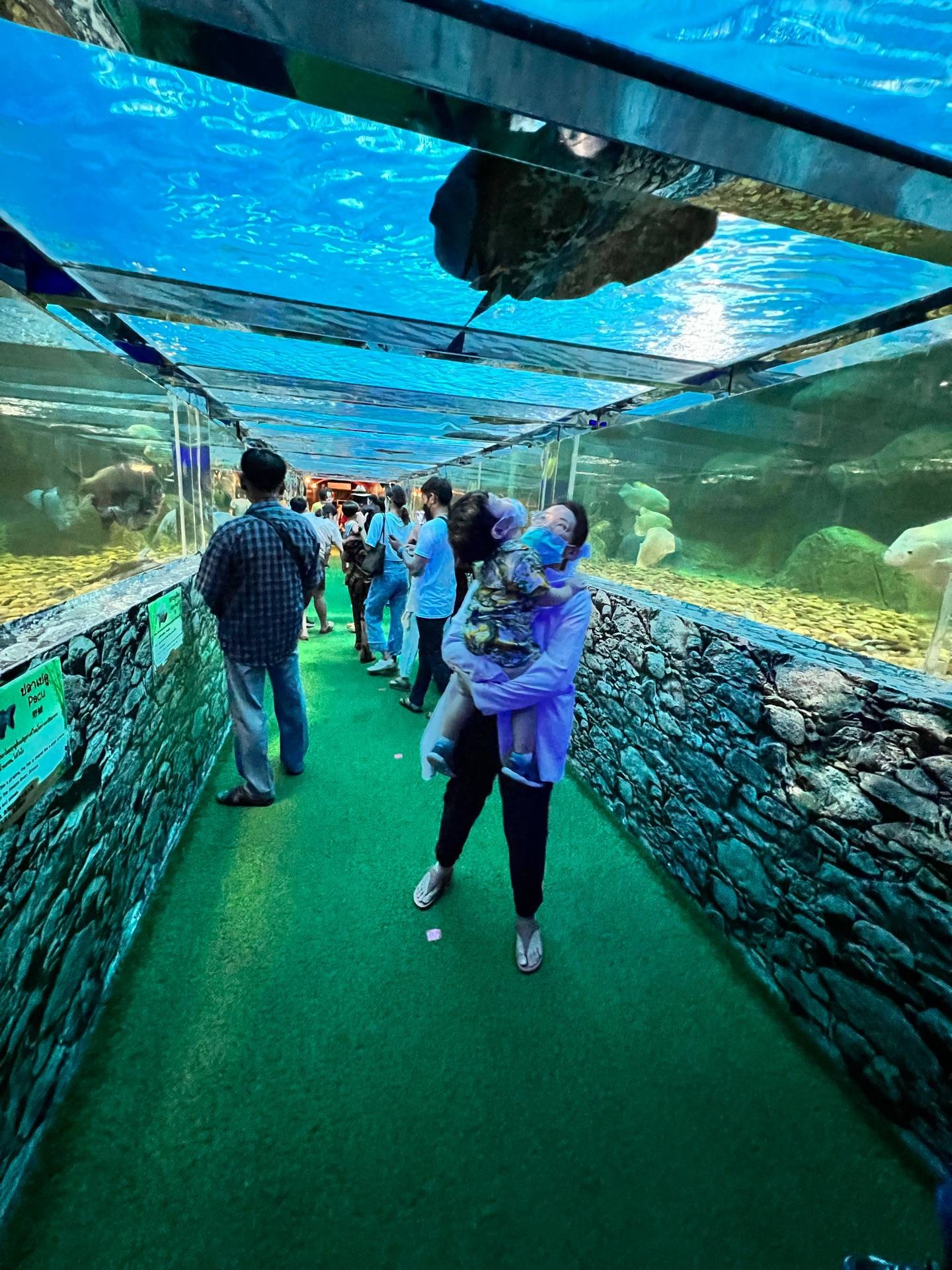 รูป Monster Aquarium - Wongnai