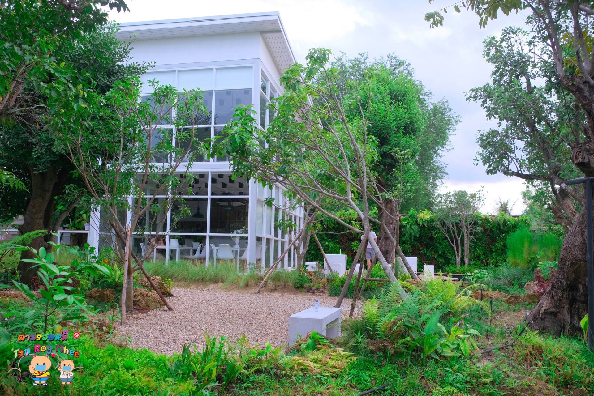 รูป Phuri cafe’ Bowin