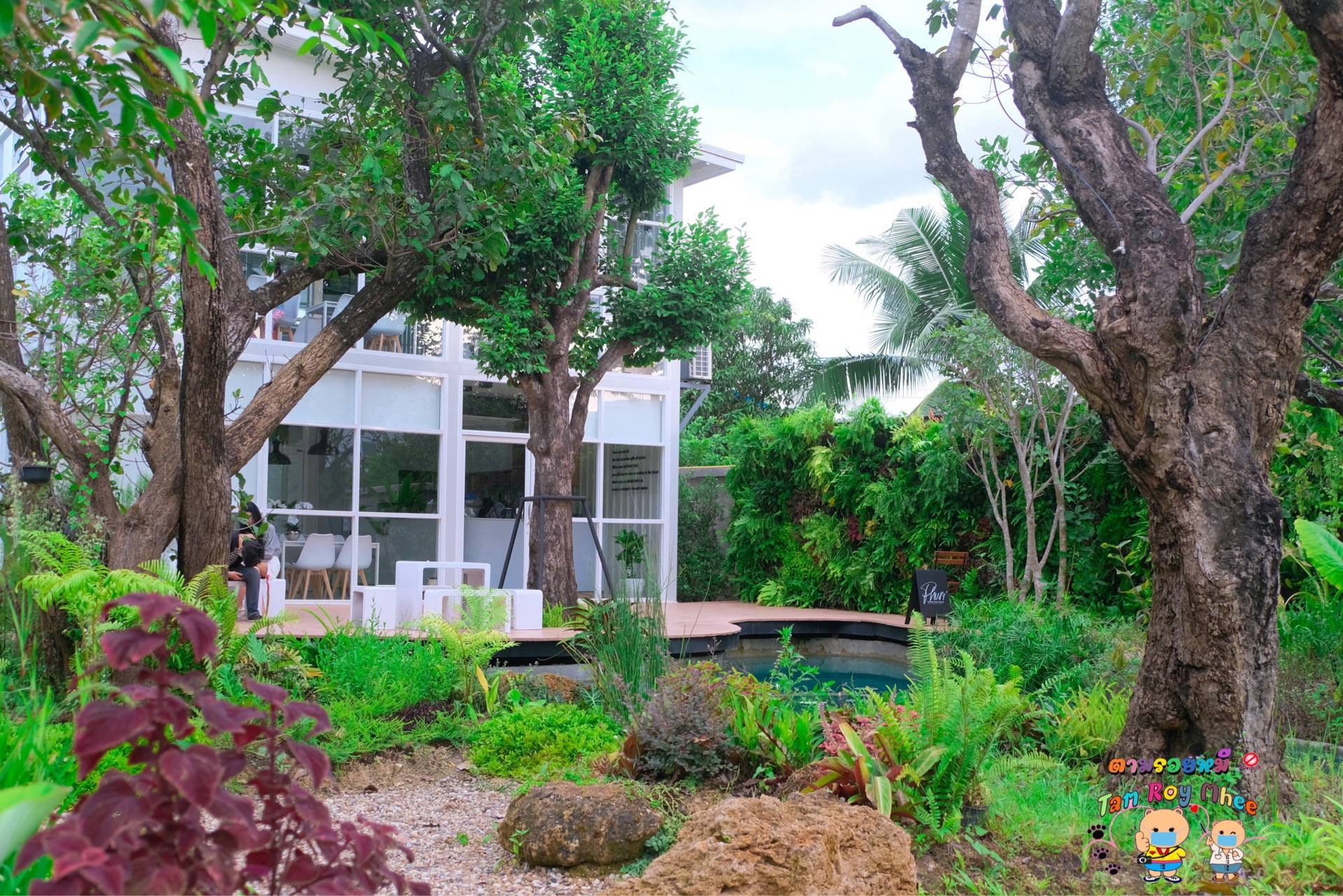 รูป Phuri cafe’ Bowin