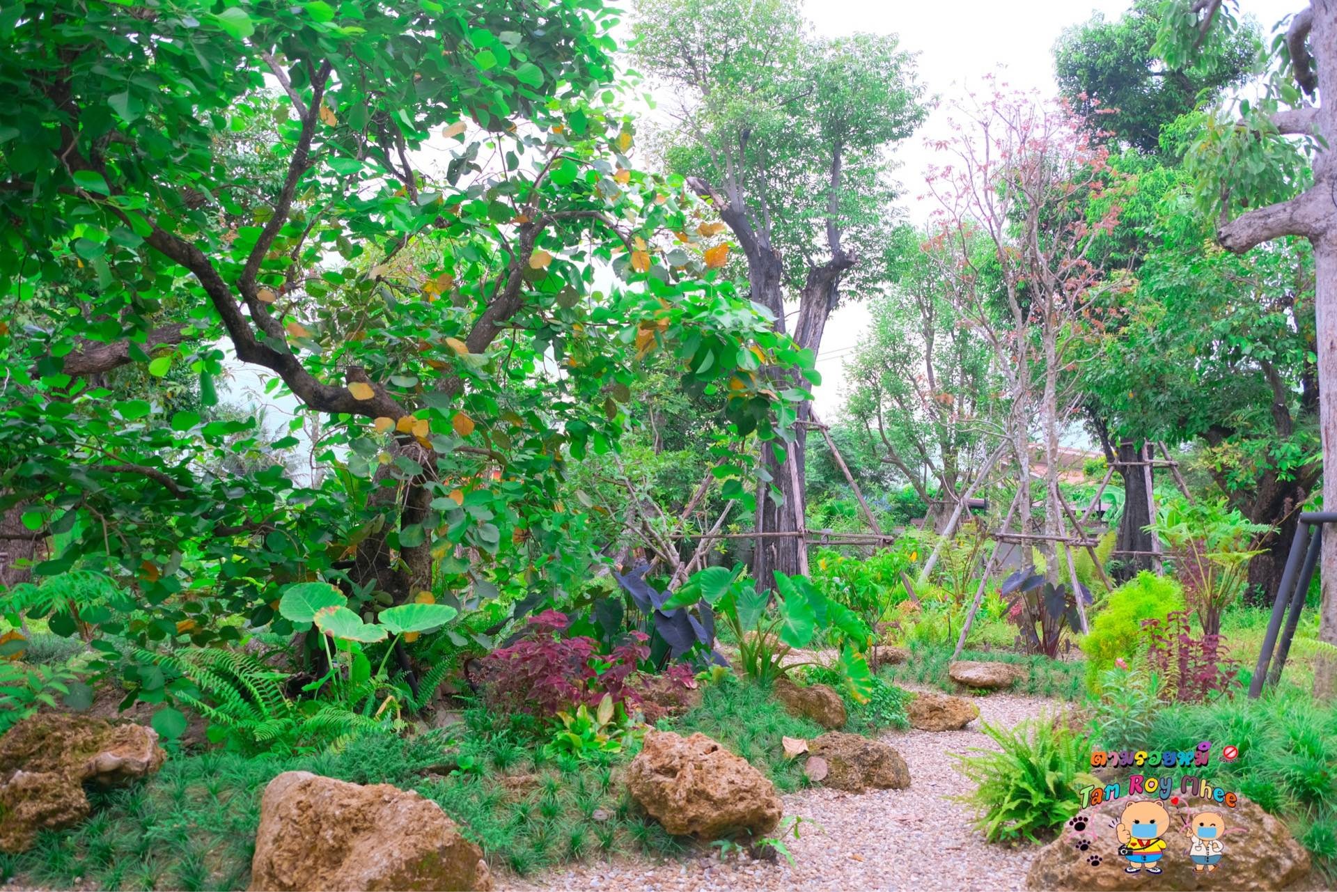 รูป Phuri cafe’ Bowin