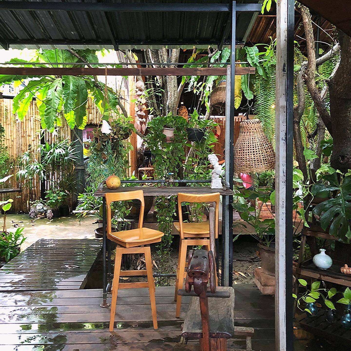 รีวิว Hidden Tree Garden Specialty Coffee - คาเฟ่ที่ซ่อนตัวในป่า ราคา ...