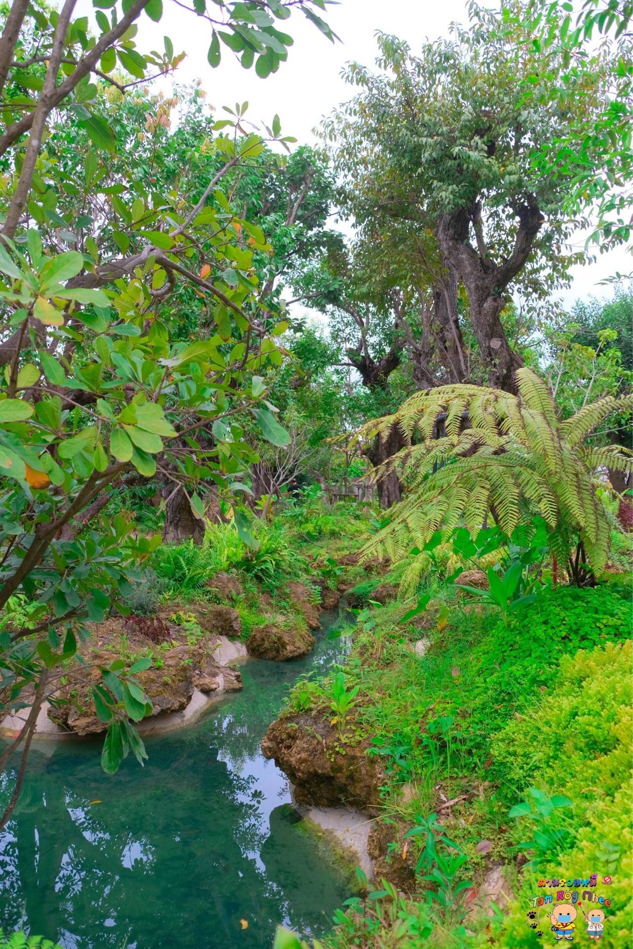 รูป Phuri cafe’ Bowin