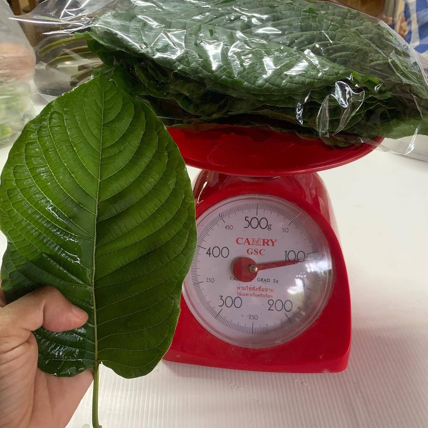 ร้าน Fresh lemon | รีวิวร้านอาหาร