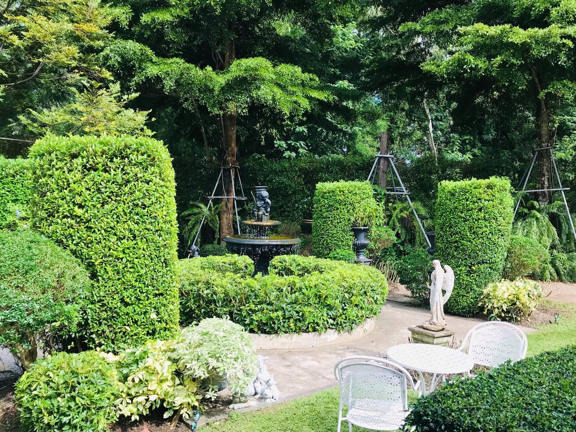 รูป Sweet Cottage Bakery & Tea Room - Wongnai