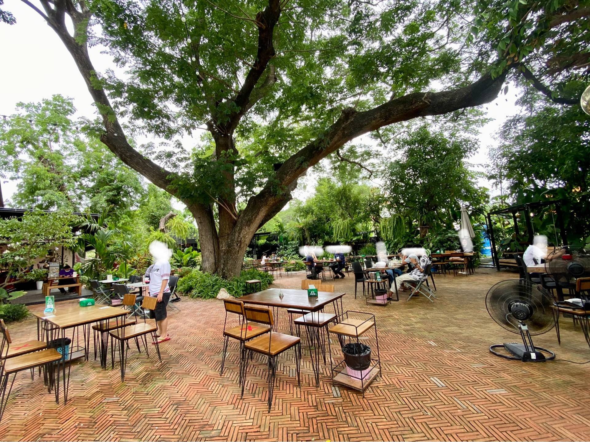 รูป WHIP CAFE Bangsaen