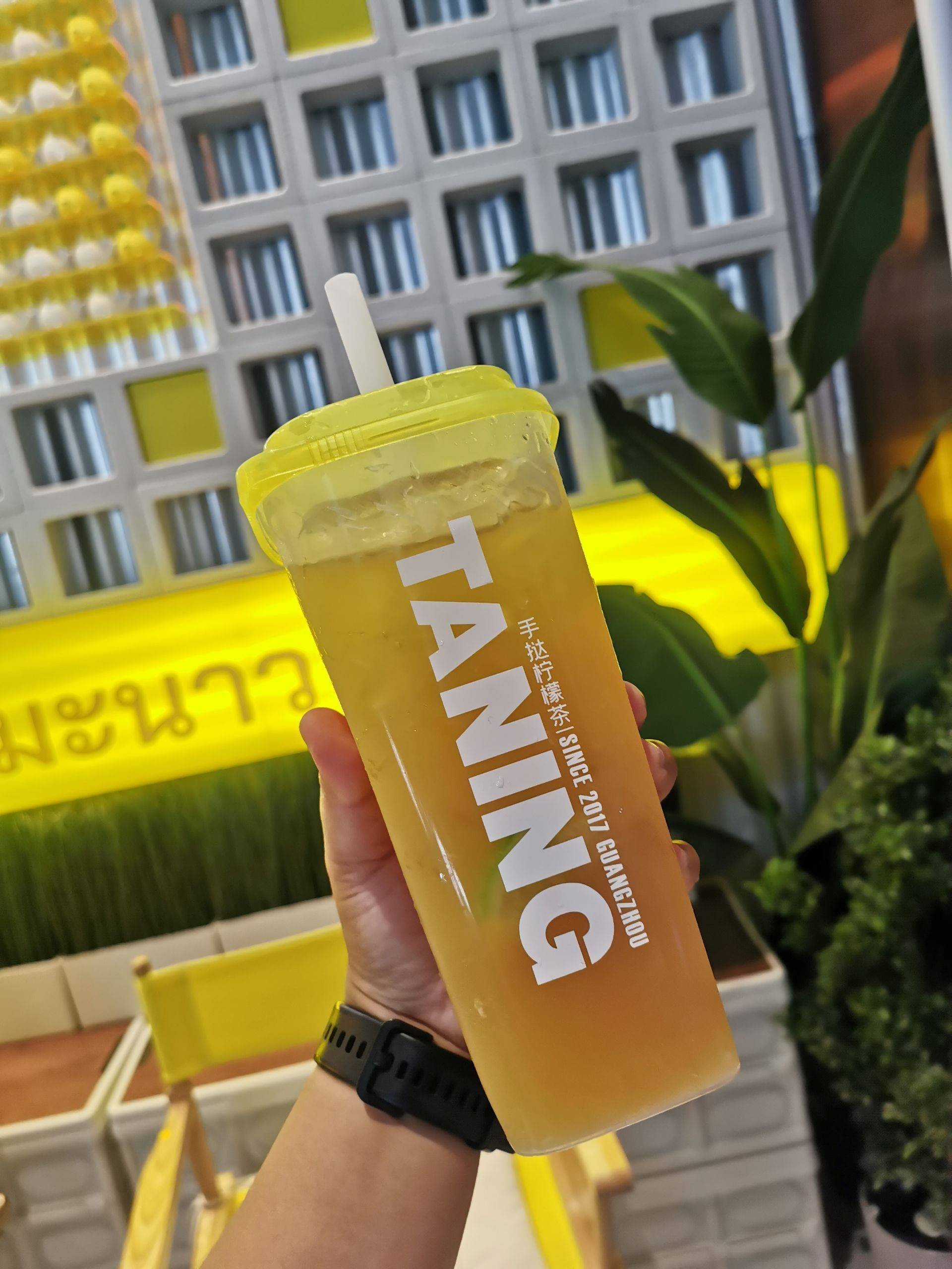 รีวิว TANING (ถาหนิง) Icon Siam - ชาเมะนาวสูตรต้นตำหรับจากกว่างโจว สู่ ...