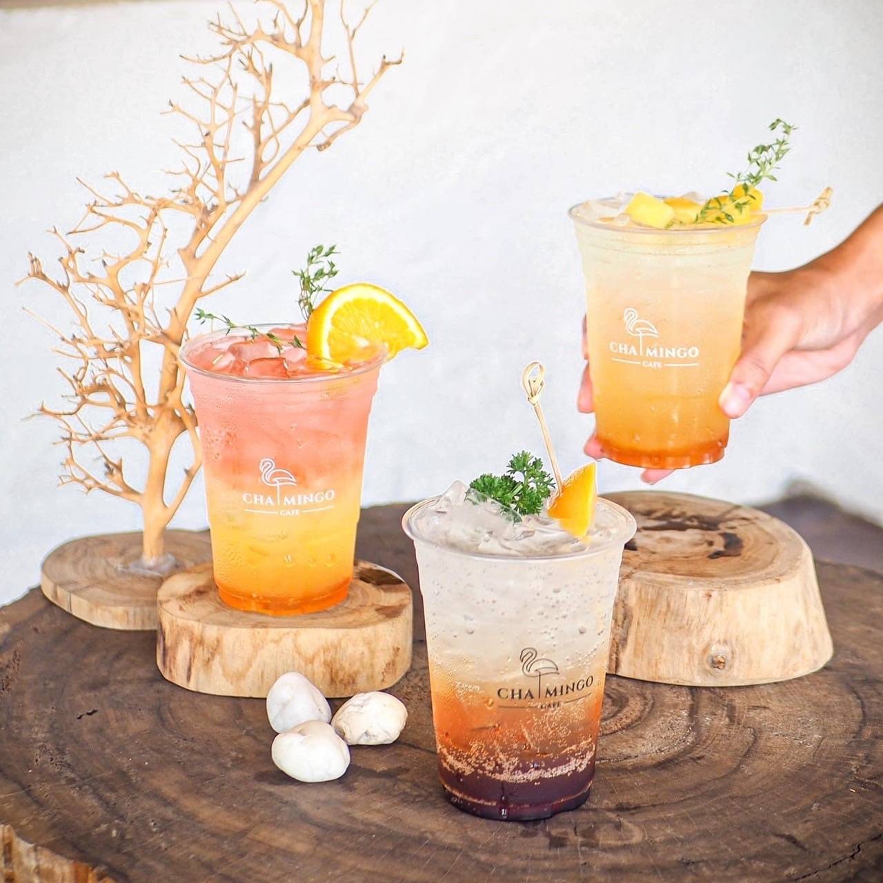 ชามิงโก้-Cha'mingo น่าน | สั่งอาหารออนไลน์ล่วงหน้า รับที่ร้านผ่านแอป ...