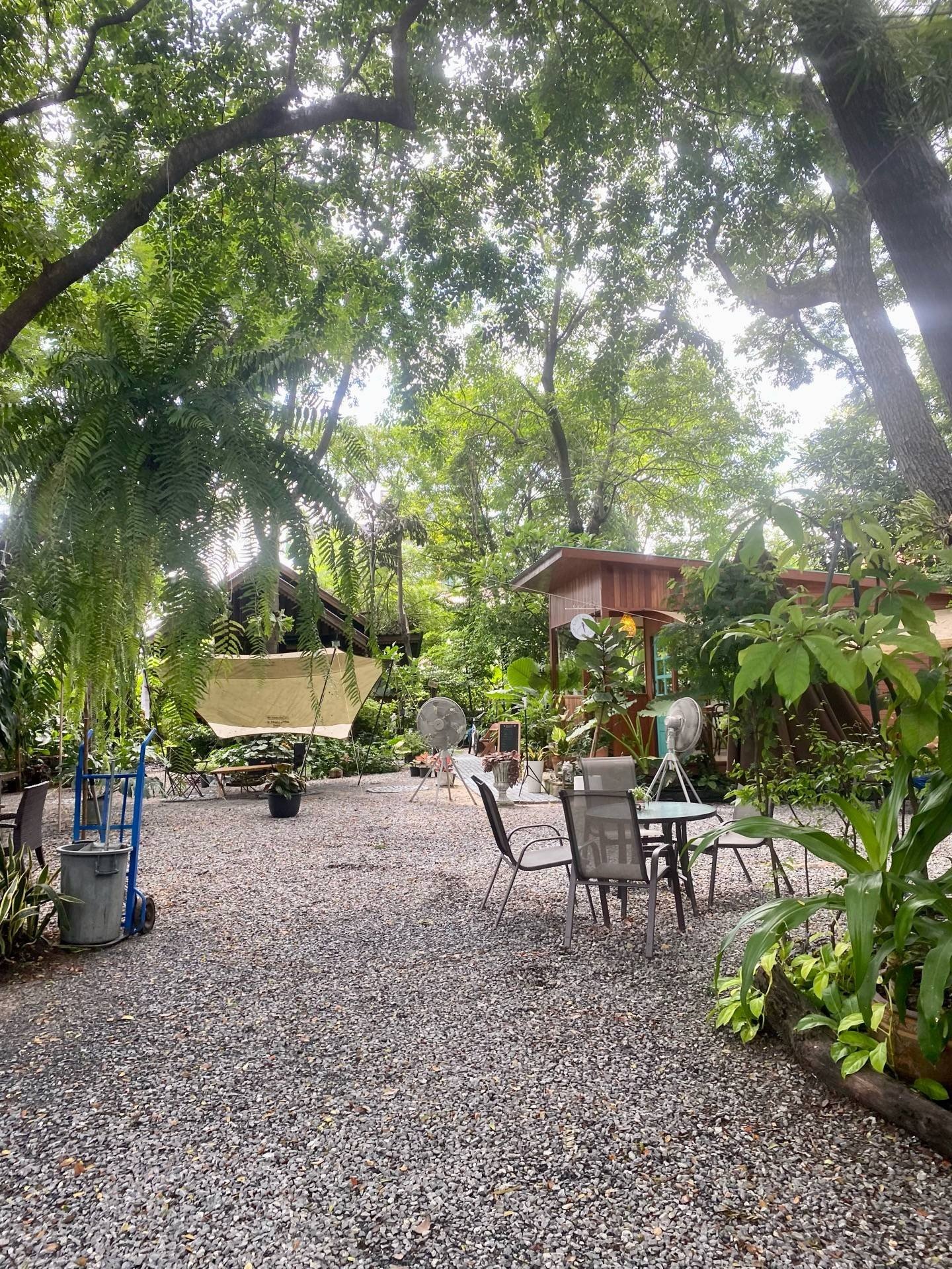 รีวิว Cafe Delphi - คาเฟ่บรรยากาศสวน