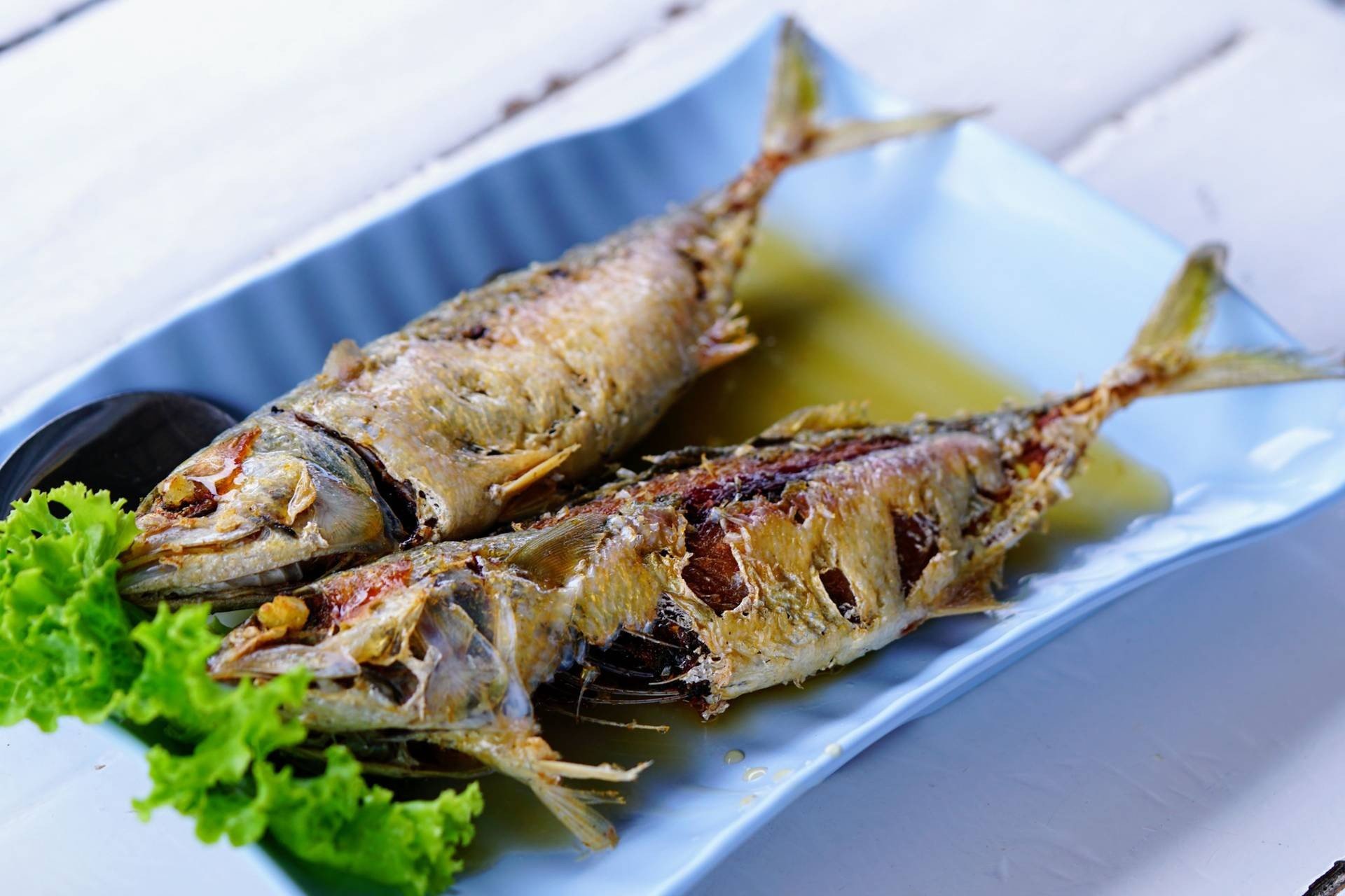 ปลาโม่งทอดน้ำปลา • ร้านทิดปลาได้กรอบมาก สามารถทานได้ทั้งตัว (ยกเว้นส่วน ...