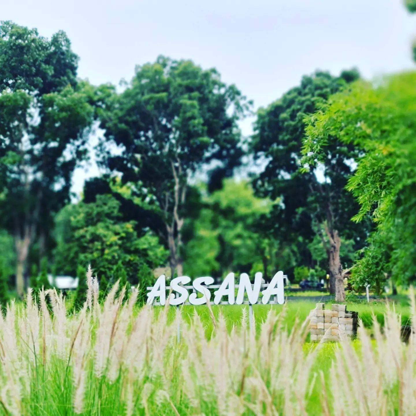 รีวิว Assana Cafe’ - คาเฟ่บรรยากาศร่มรื่นติดริมคลองลำตะคอง - Wongnai