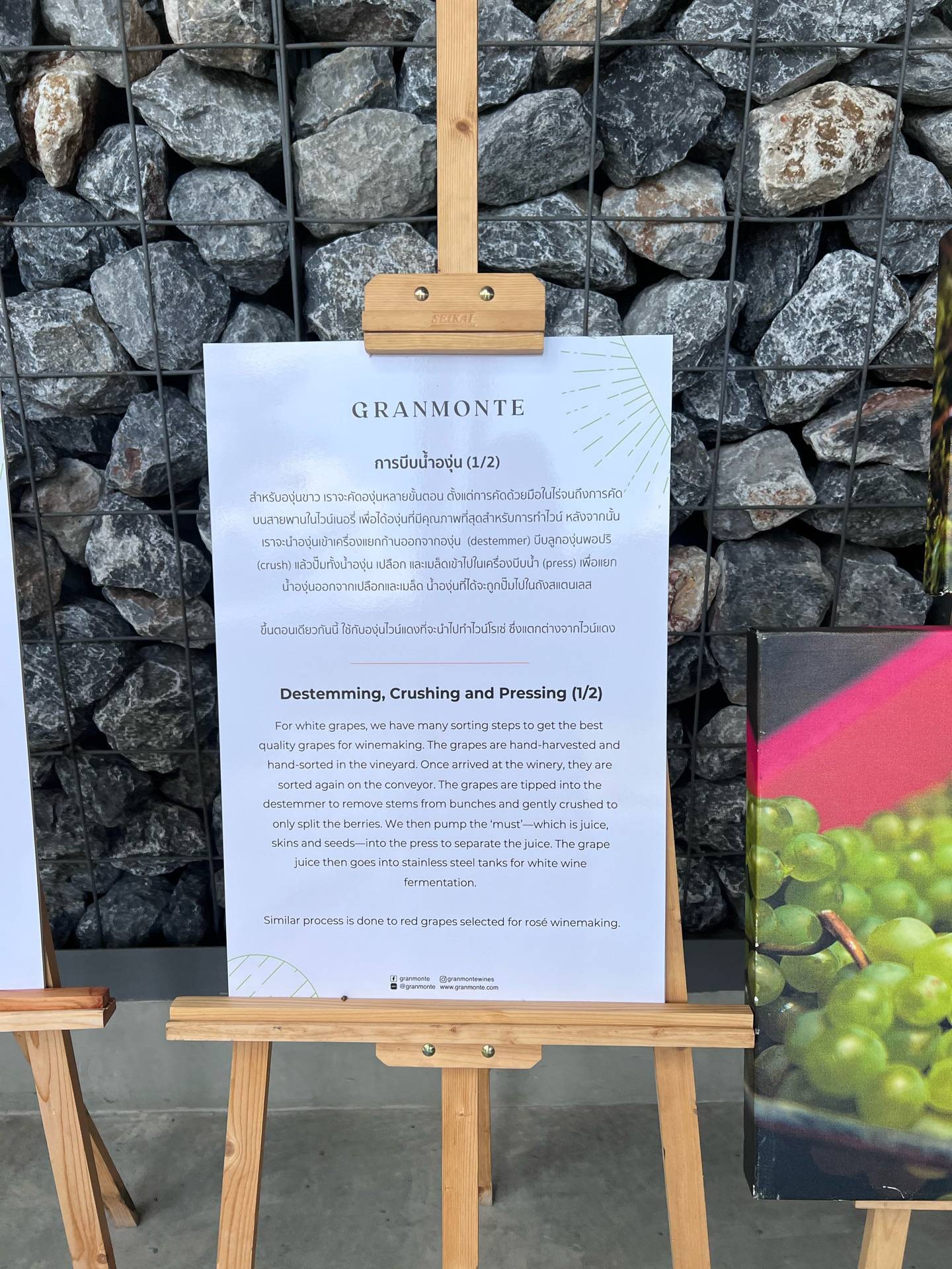 รูป GranMonte Vineyard and Winery เขาใหญ่