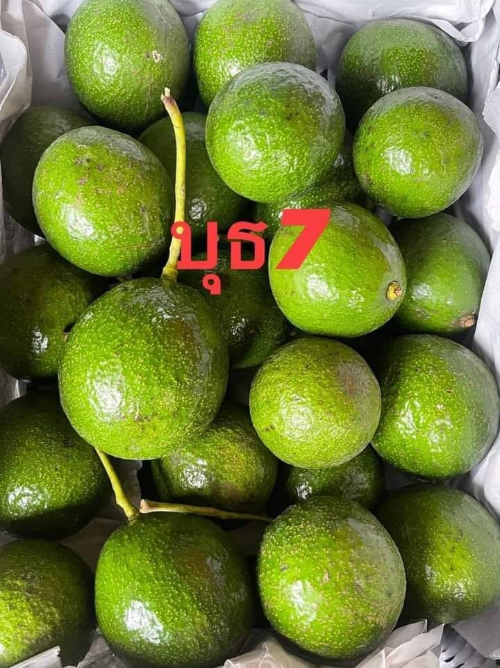 ร้าน Avocado Station | รีวิวร้านอาหาร