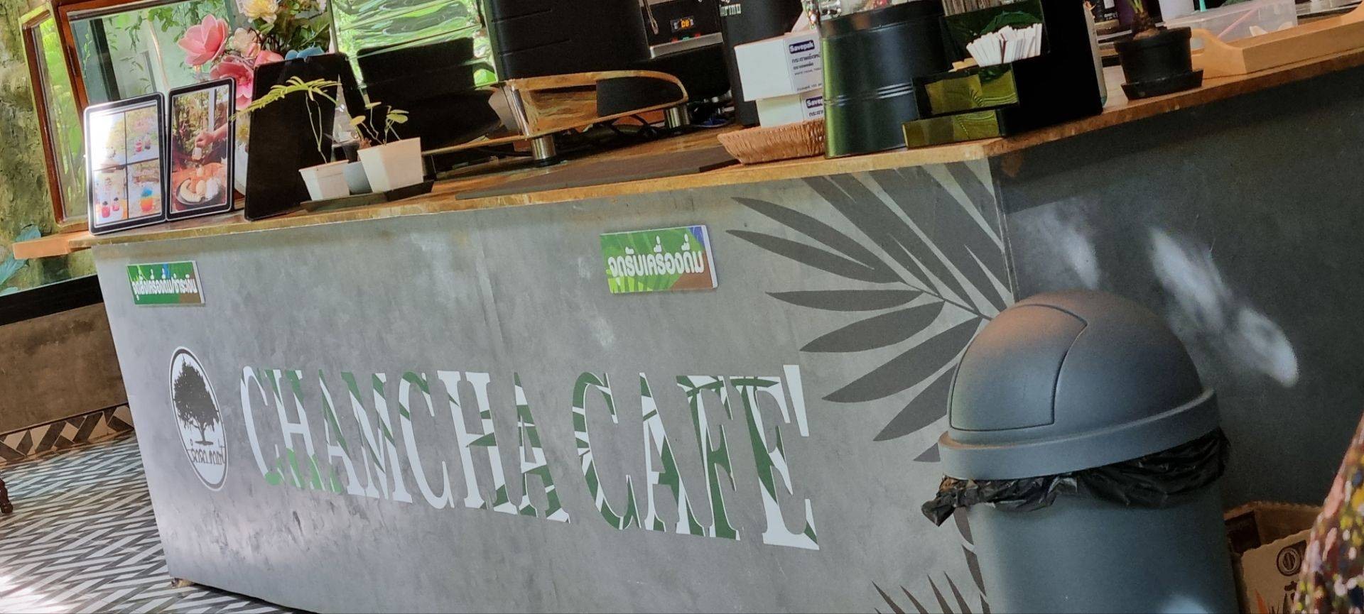รีวิว Chamcha Cafe พิจิตร - ฉำฉาต้นใหญ่