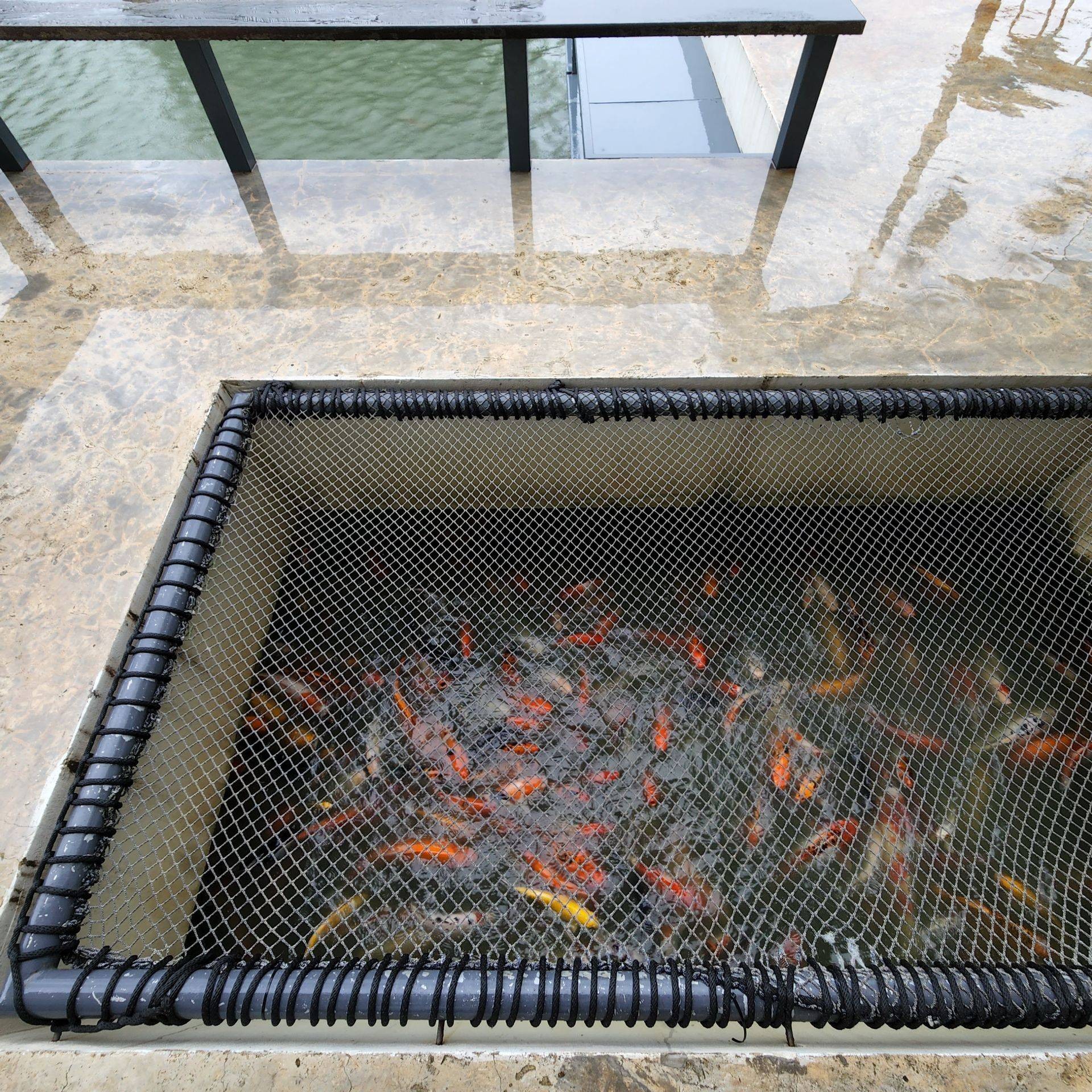 รูป ชมปลาคาเฟ่ จันทบุรี