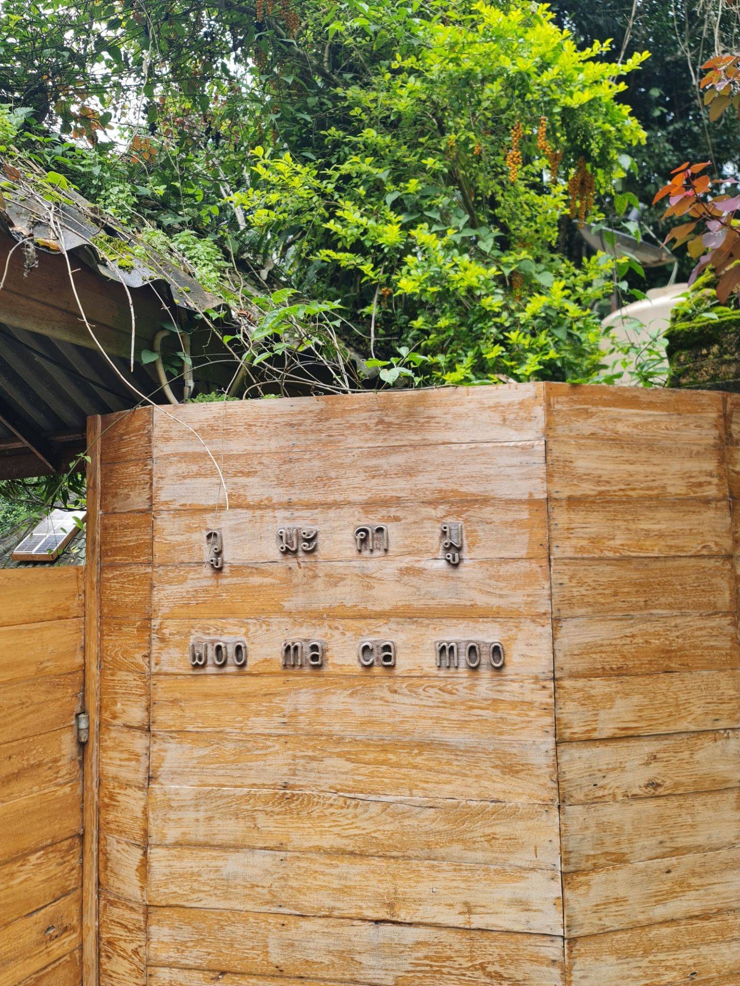 รูป Woo Ma Ca Moo